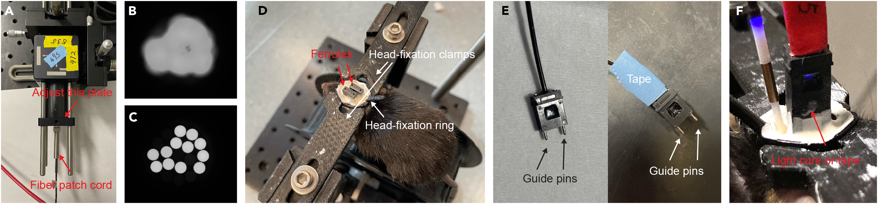 Cell Press: STAR Protocols