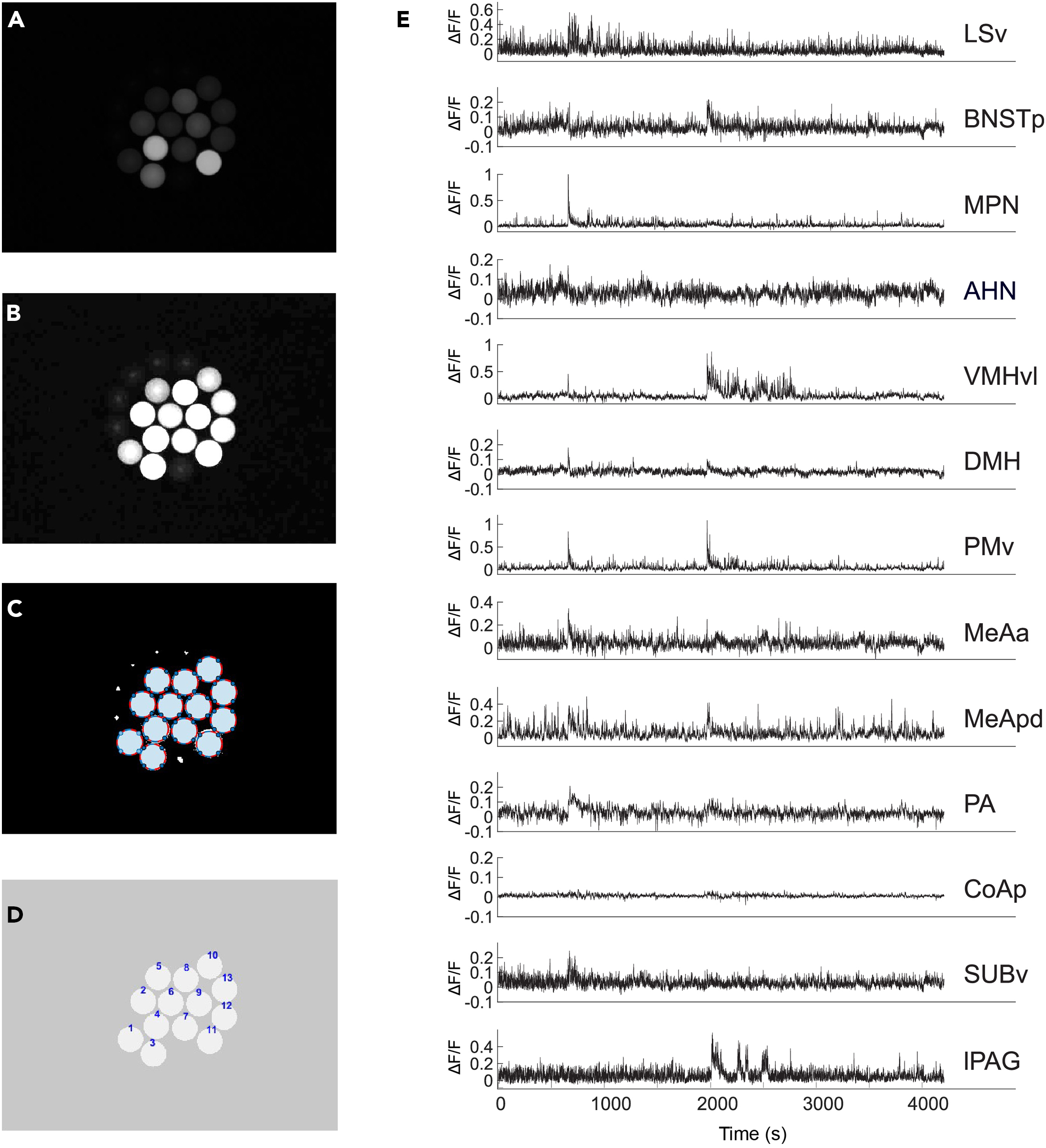 Cell Press: STAR Protocols