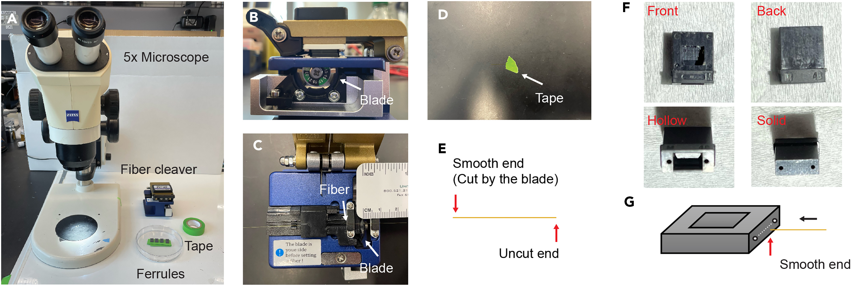 Cell Press: STAR Protocols