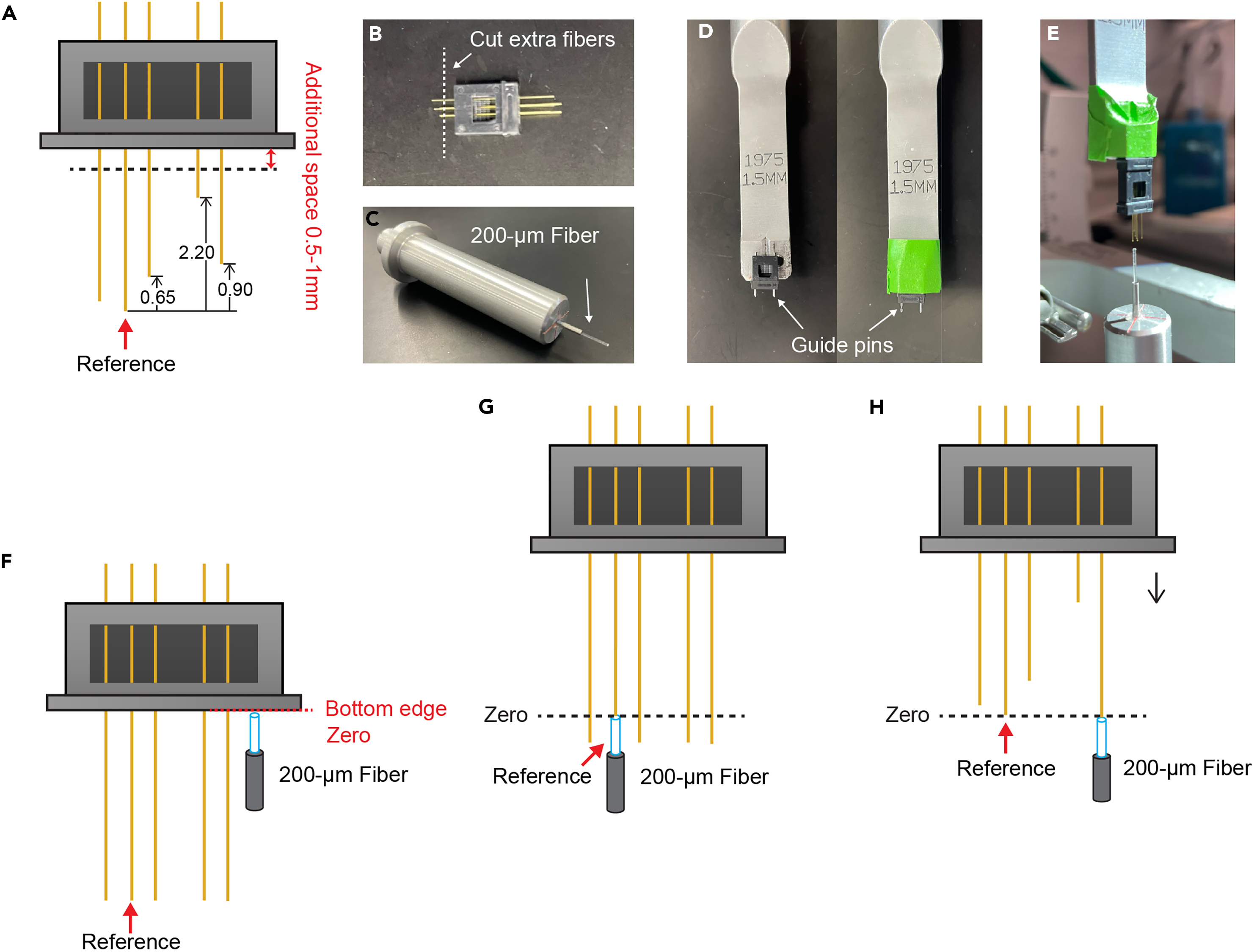 Cell Press: STAR Protocols