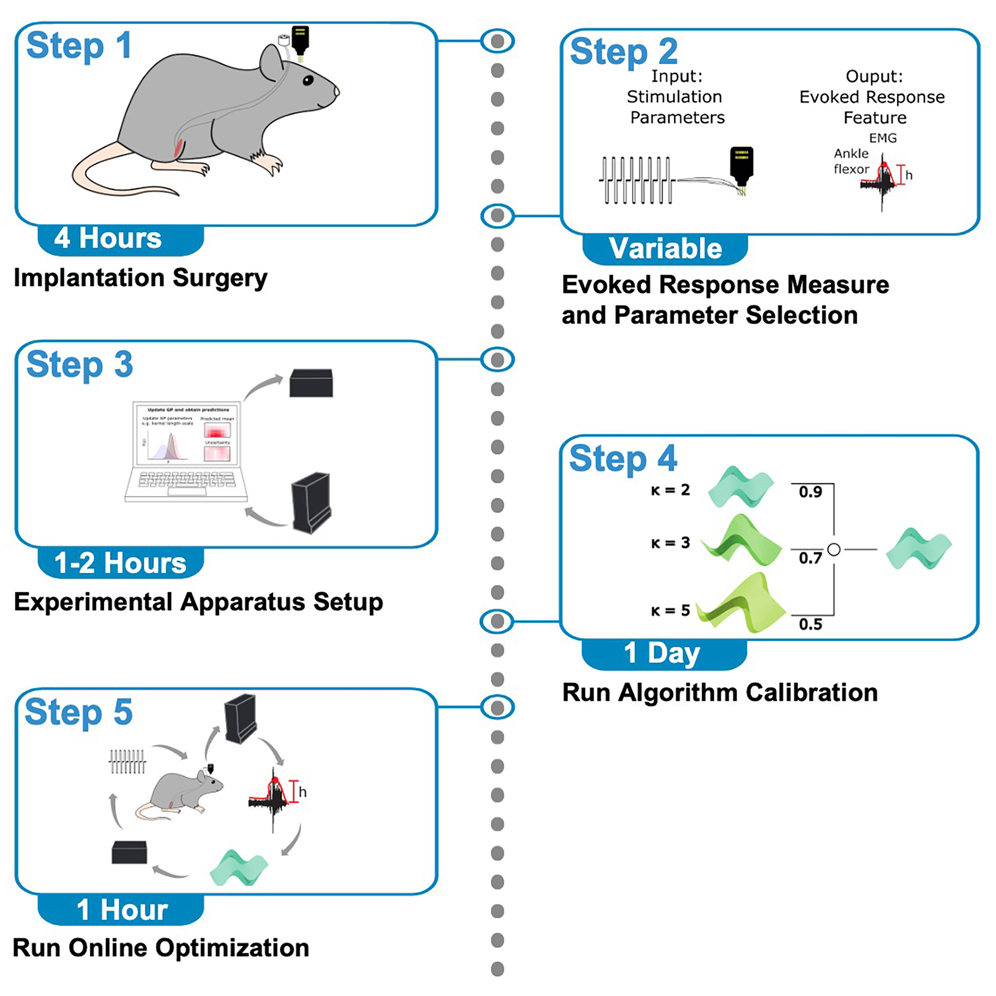 Cell Press: STAR Protocols