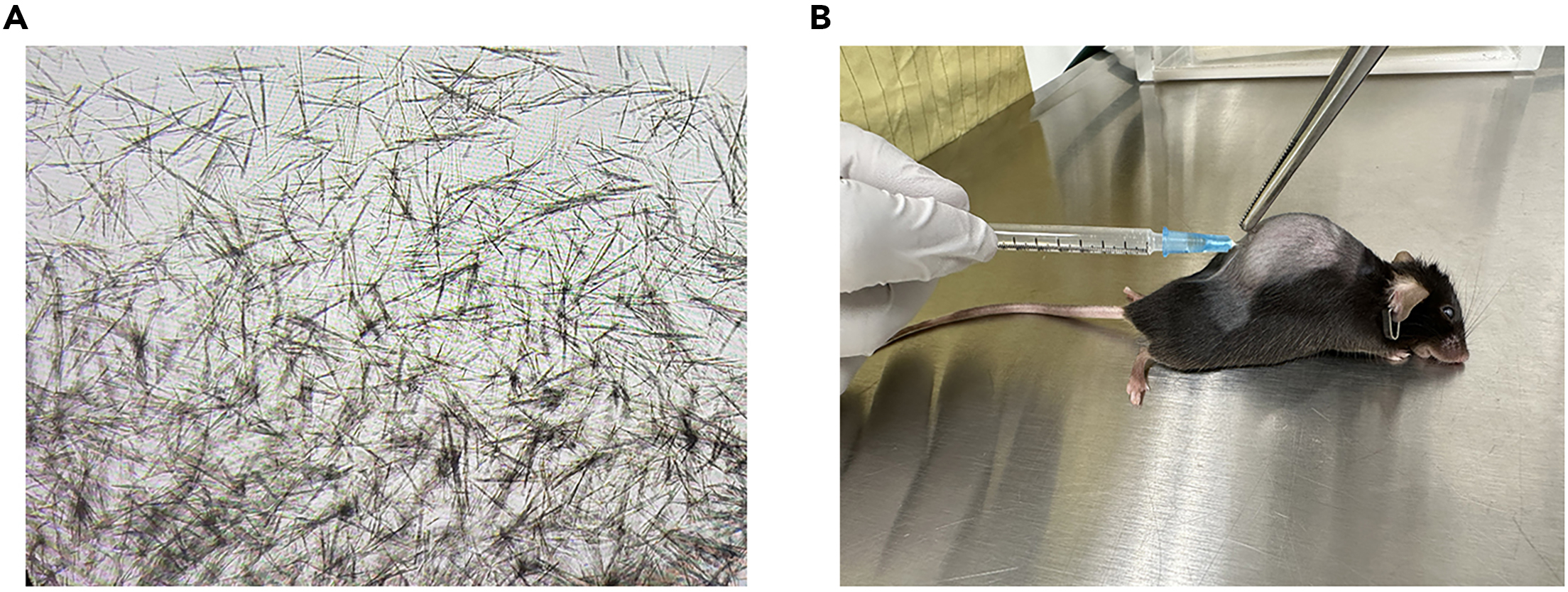 Cell Press: STAR Protocols