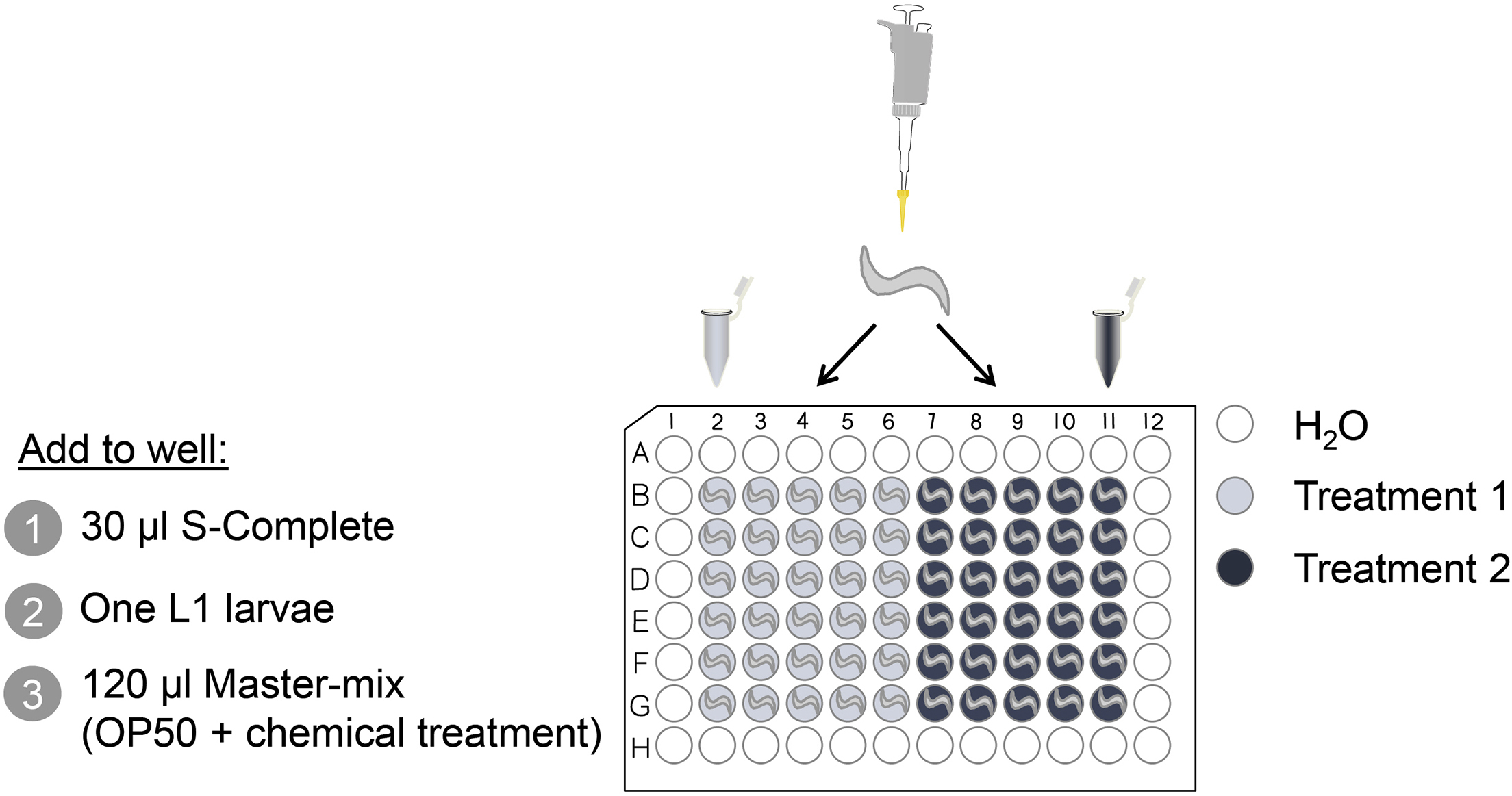 Cell Press: STAR Protocols