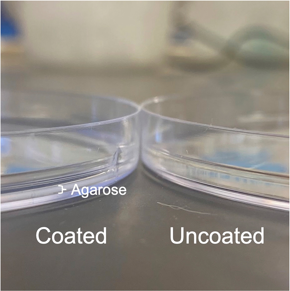 Cell Press: STAR Protocols