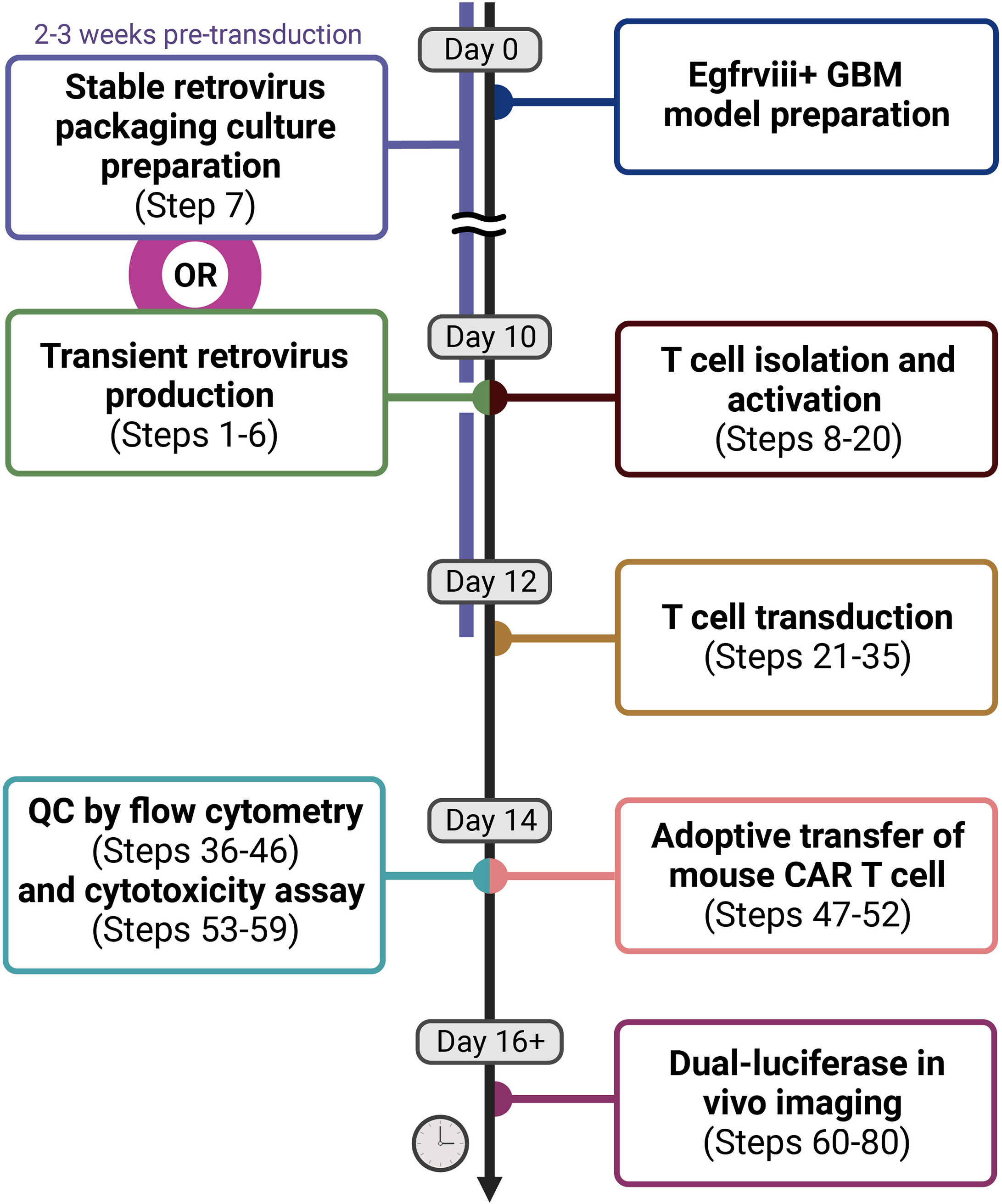 Cell Press: STAR Protocols