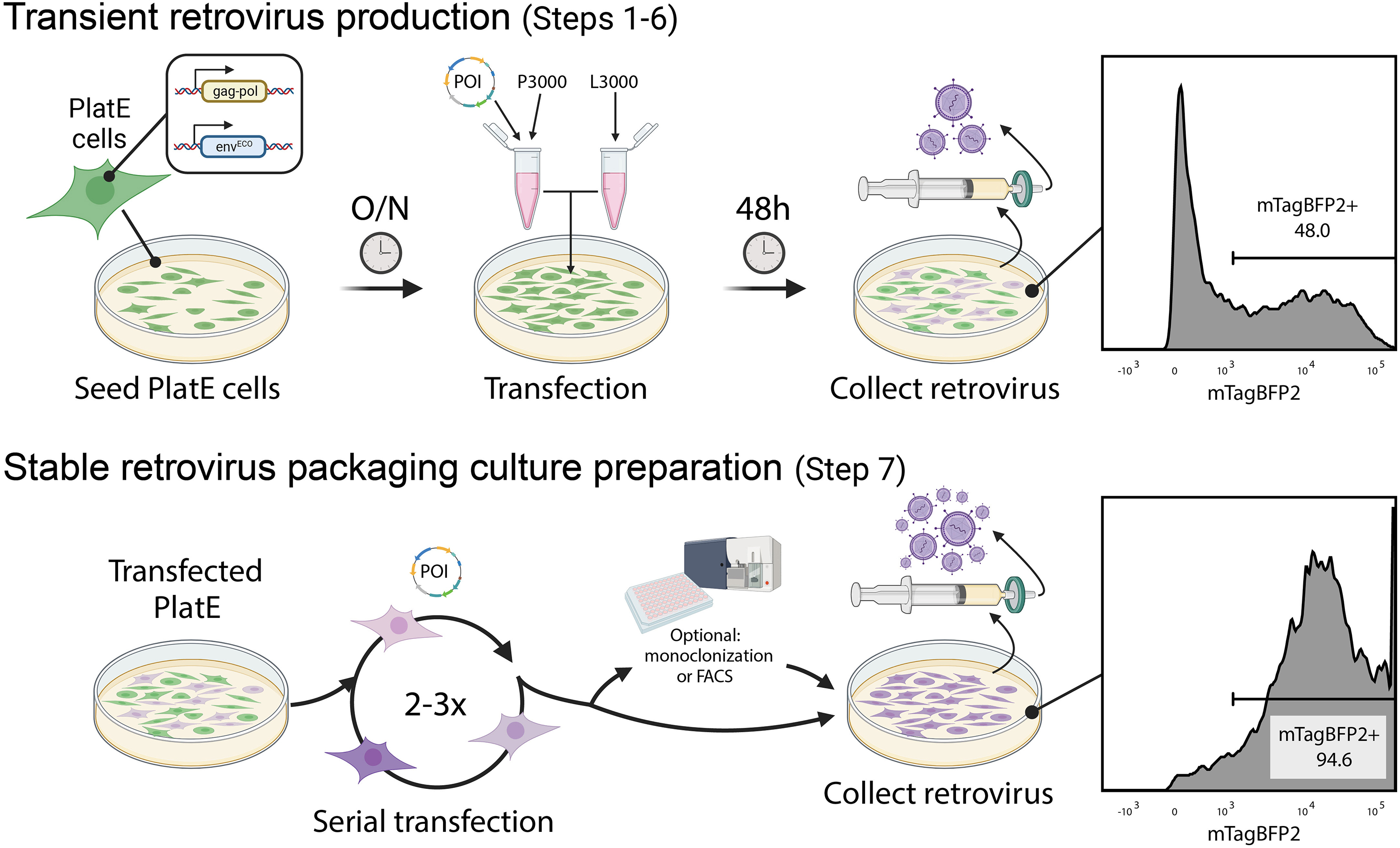 Cell Press: STAR Protocols
