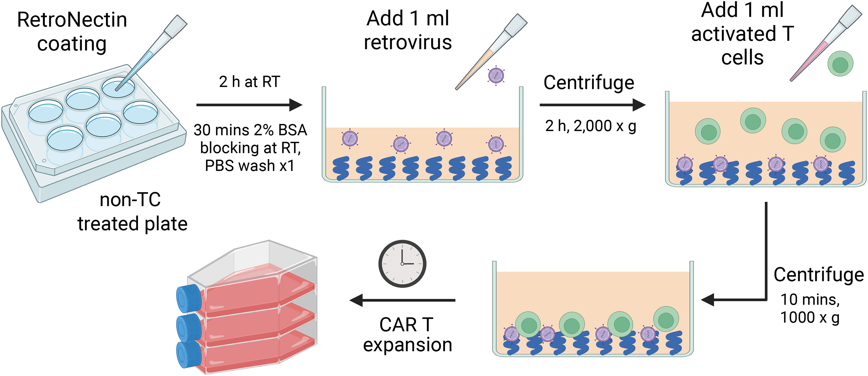 Cell Press: STAR Protocols