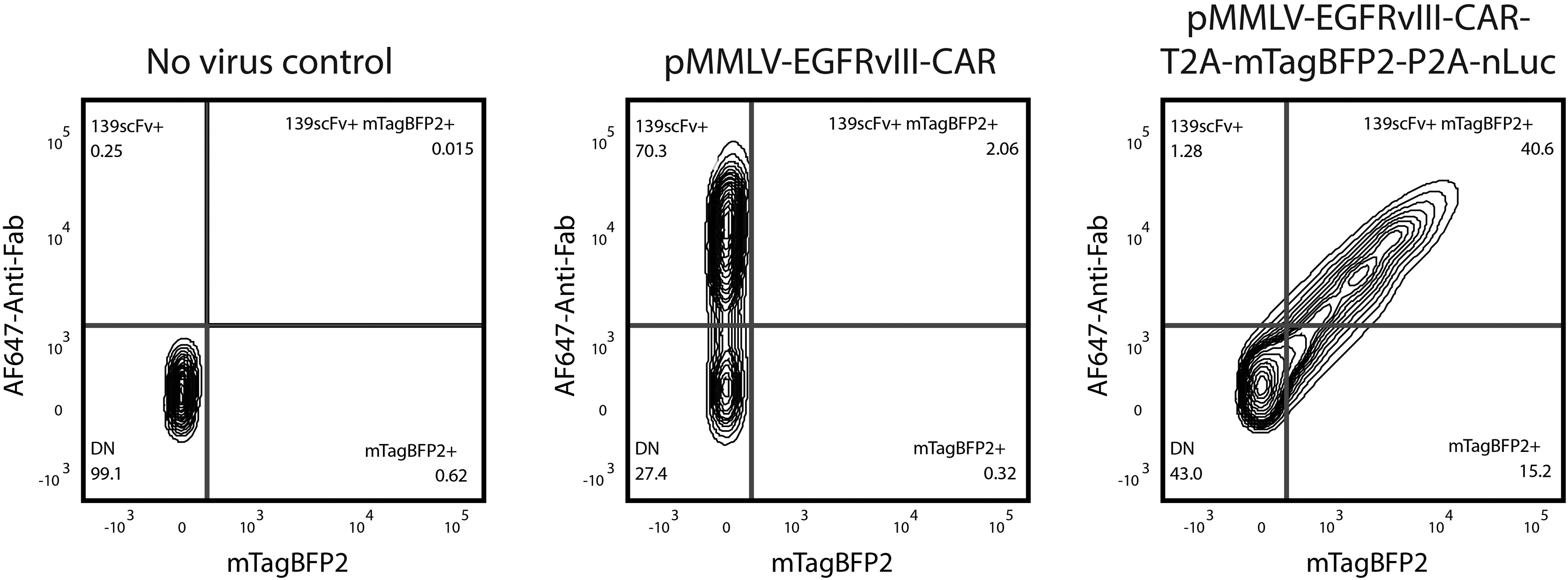 Cell Press: STAR Protocols