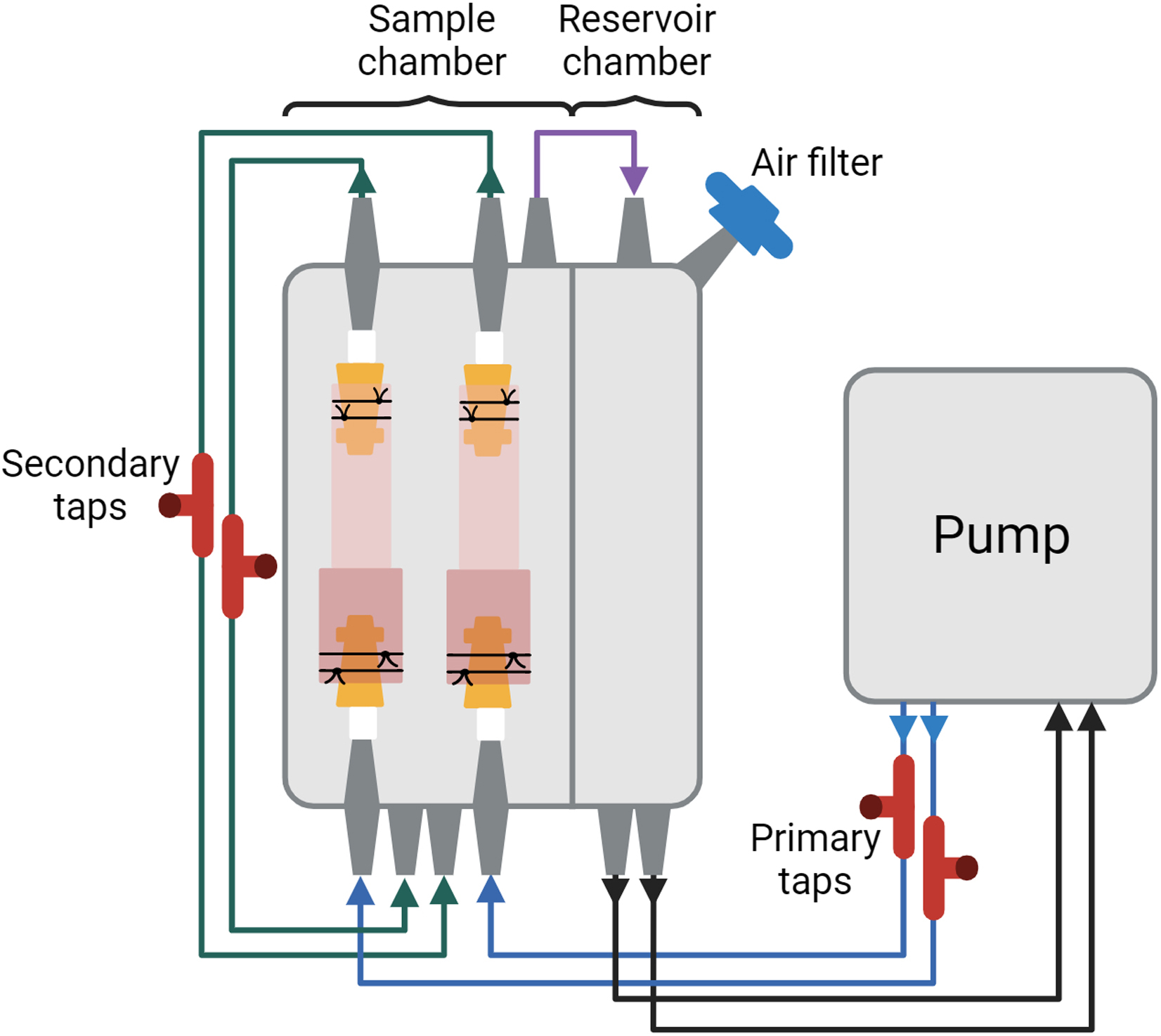 Cell Press: STAR Protocols