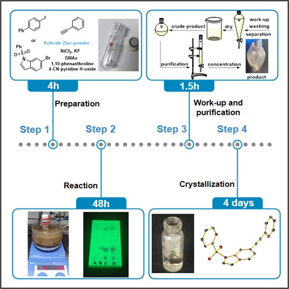 Cell Press: STAR Protocols
