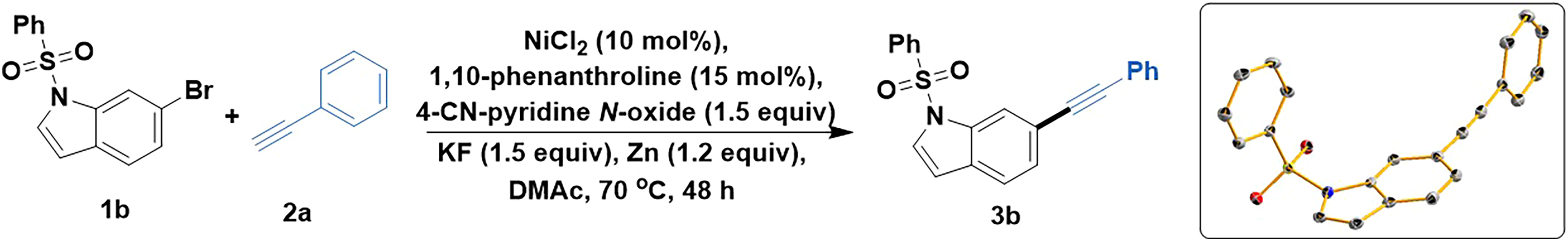 Cell Press: STAR Protocols