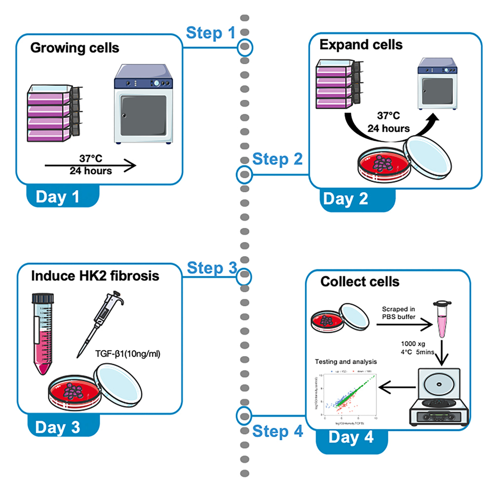 Cell Press: STAR Protocols