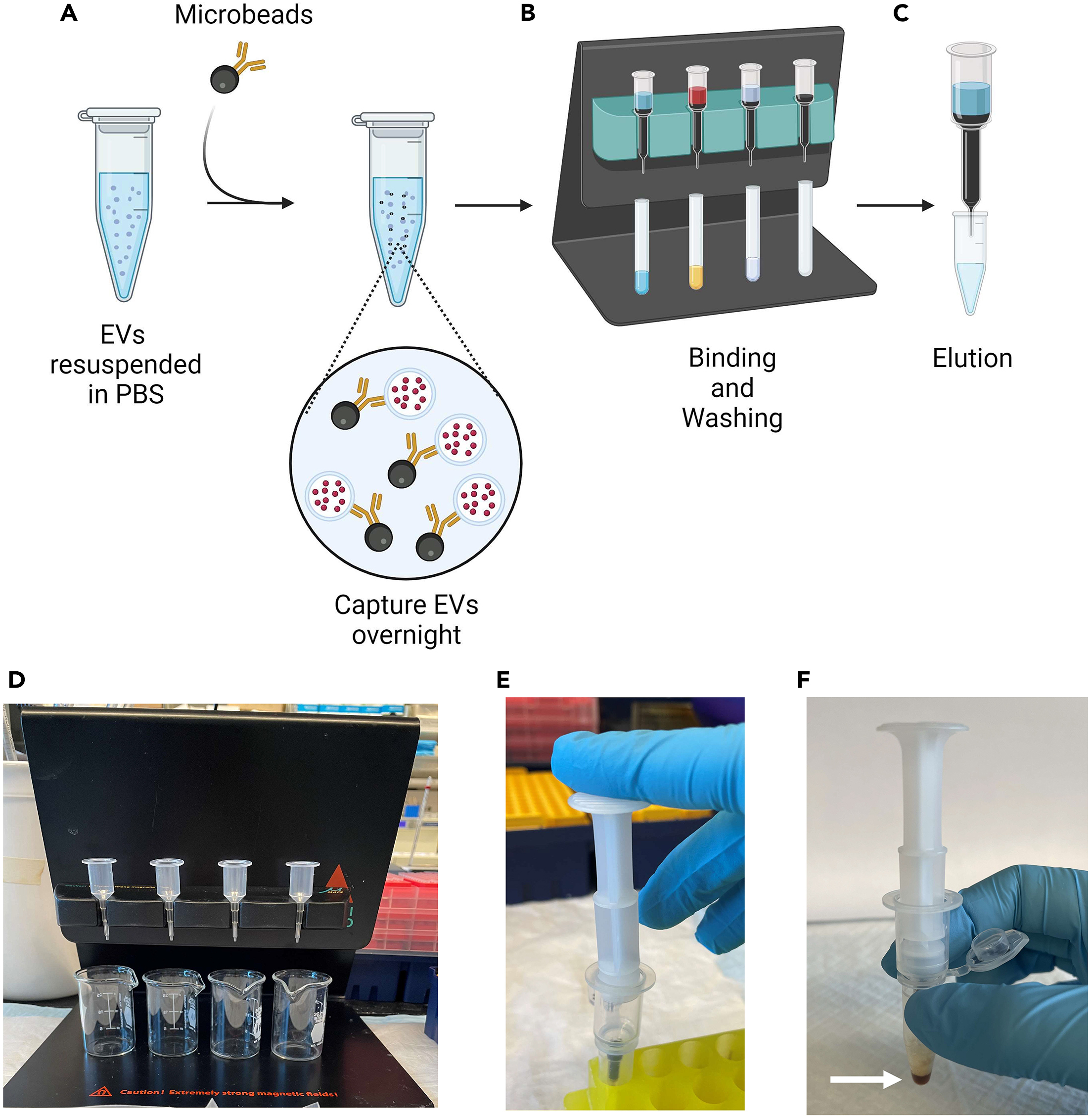 Cell Press: STAR Protocols