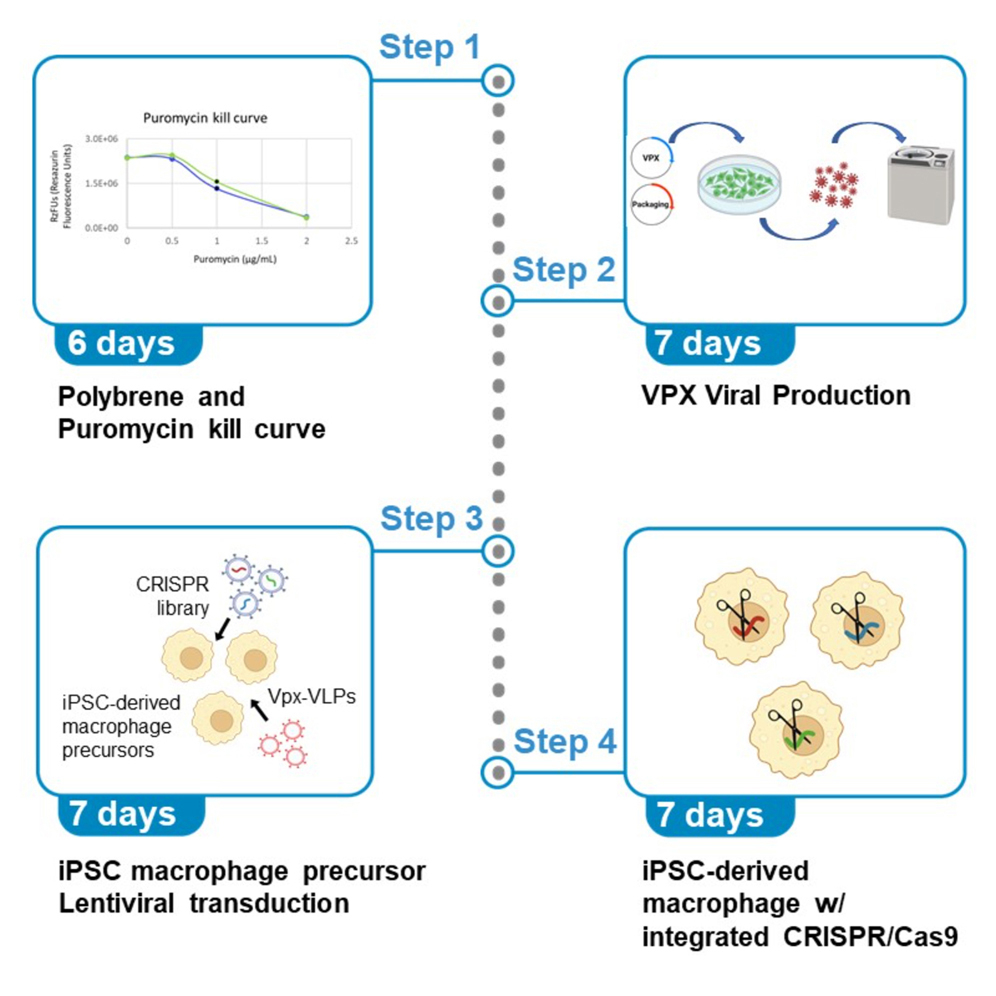 Cell Press: STAR Protocols