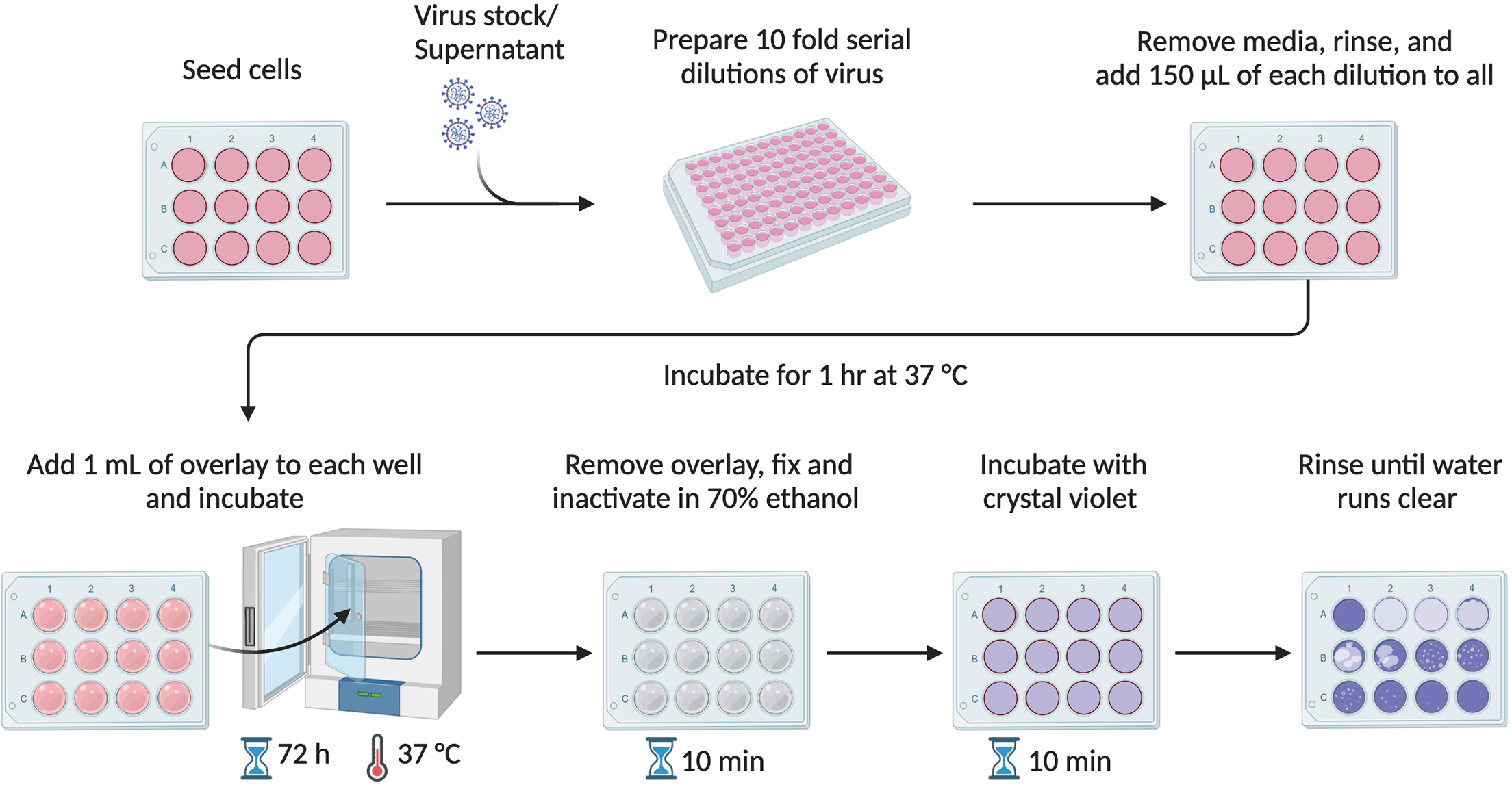 Cell Press: STAR Protocols