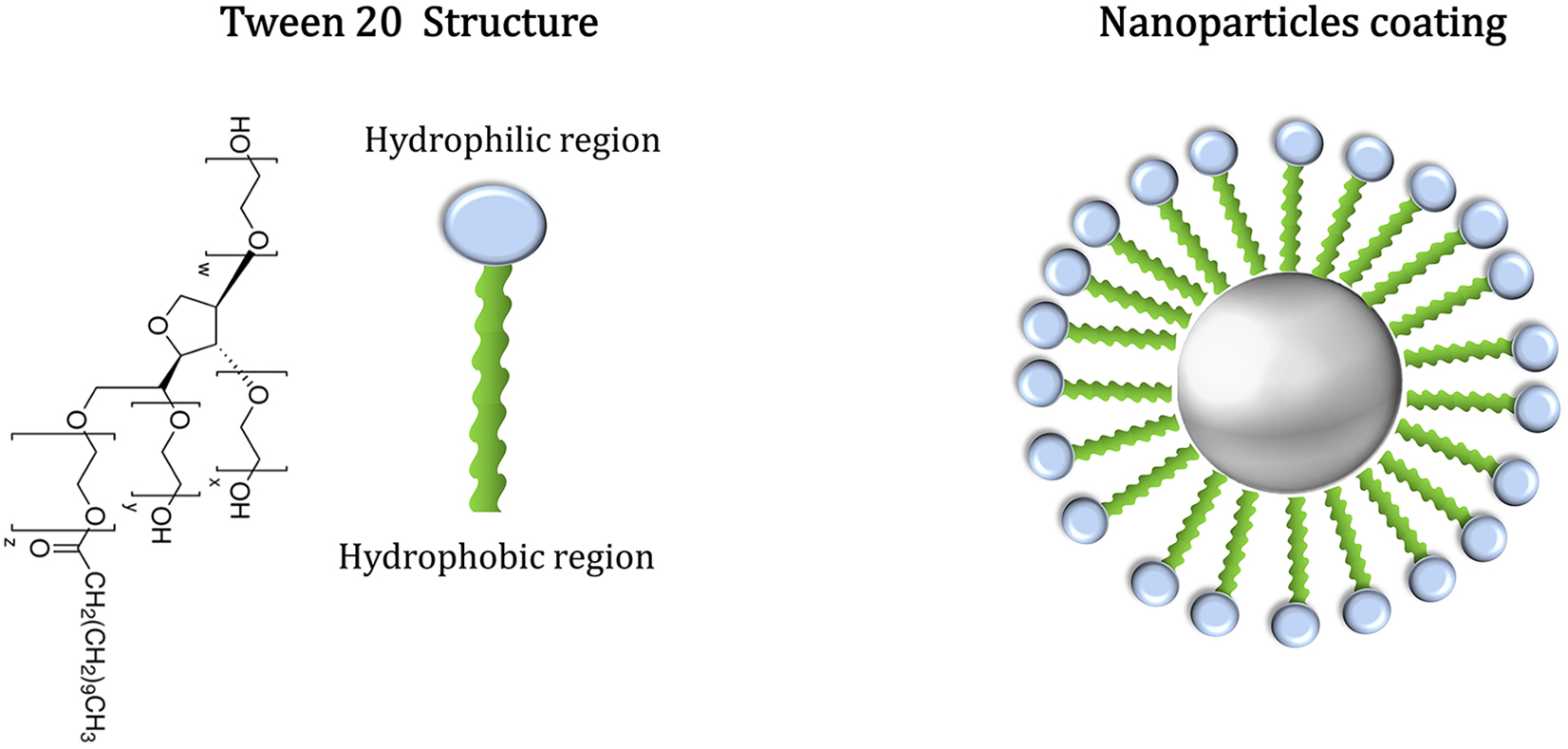 Cell Press: STAR Protocols