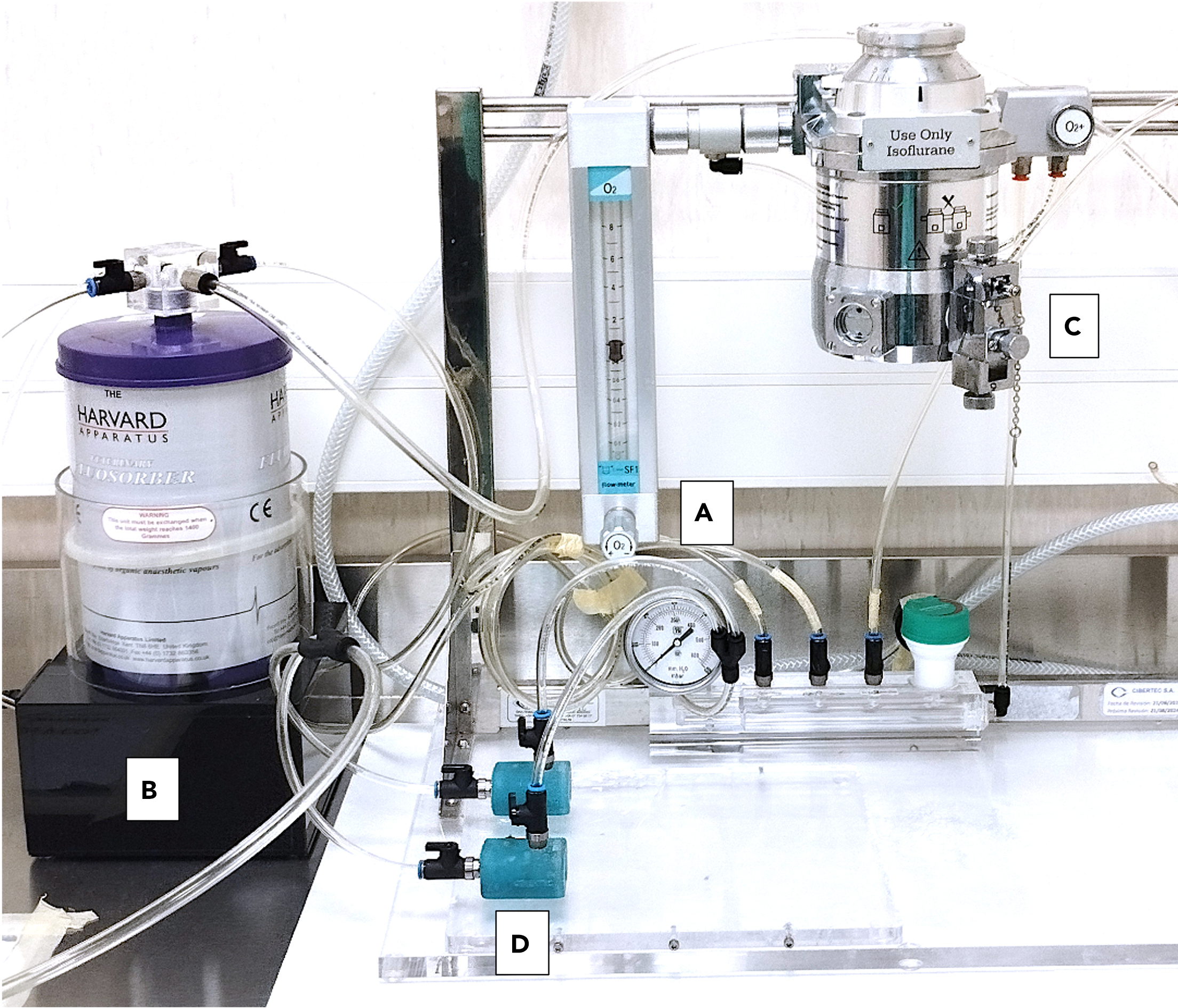 Cell Press: STAR Protocols