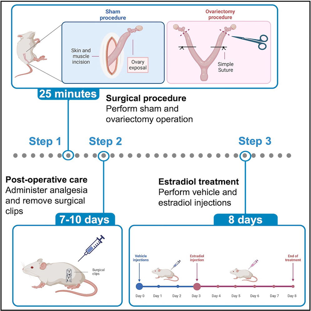 Cell Press: STAR Protocols