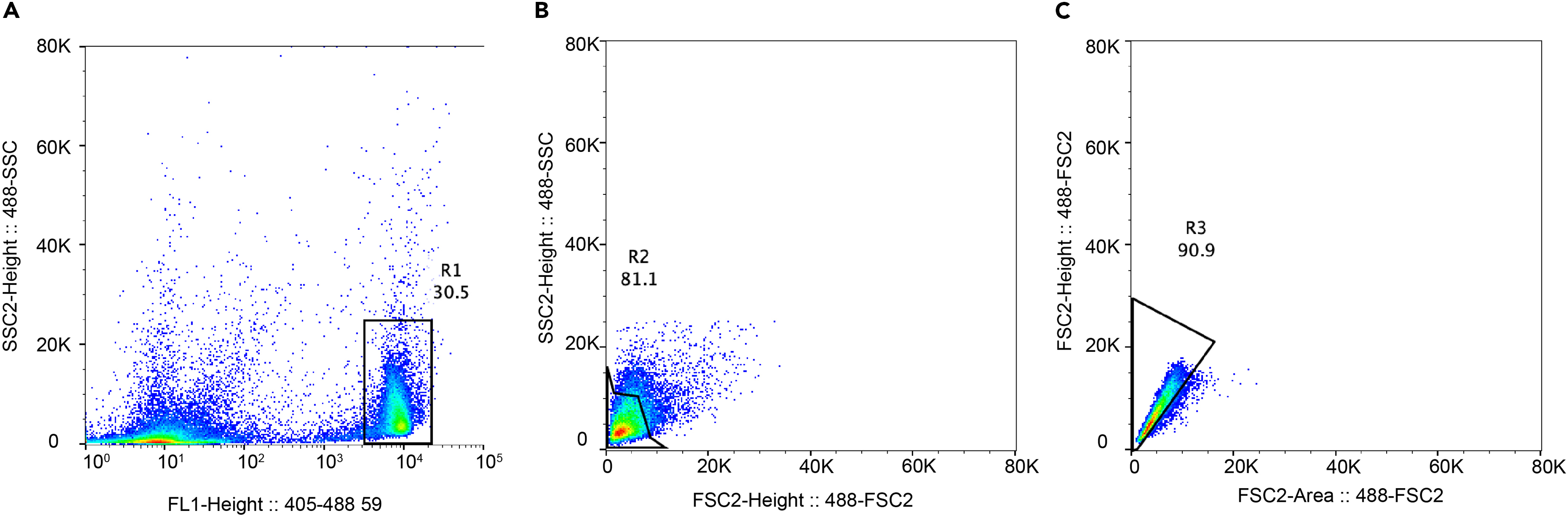 Cell Press: STAR Protocols