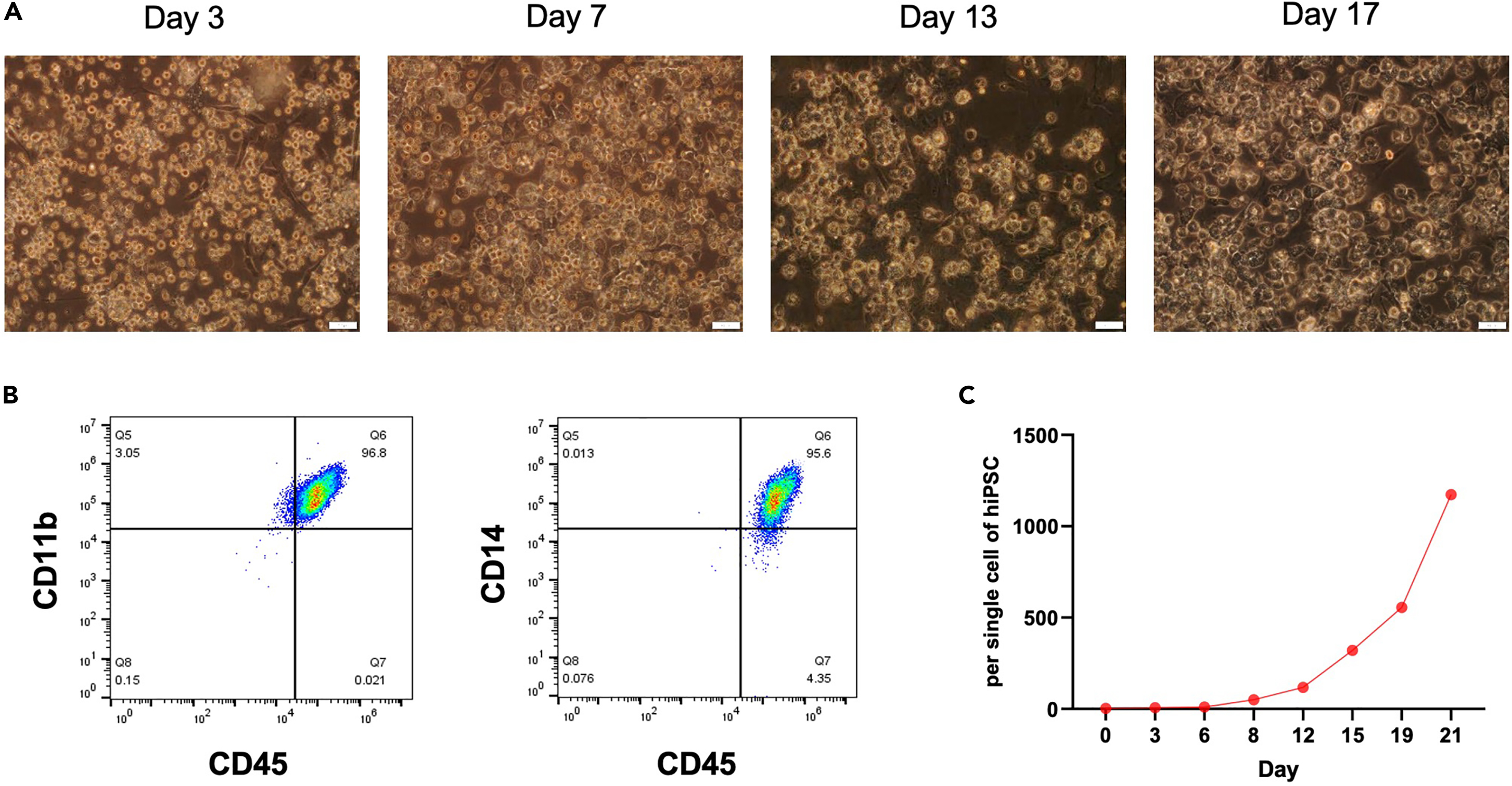 Cell Press: STAR Protocols