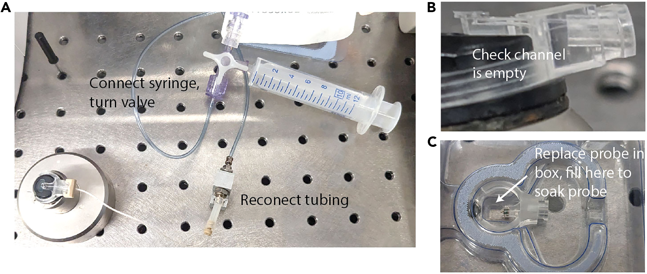 Cell Press: STAR Protocols