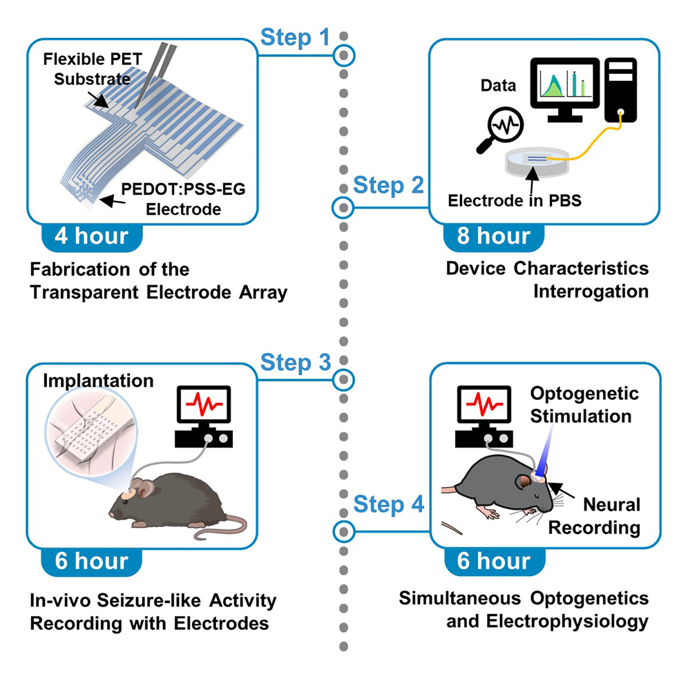 Cell Press: STAR Protocols