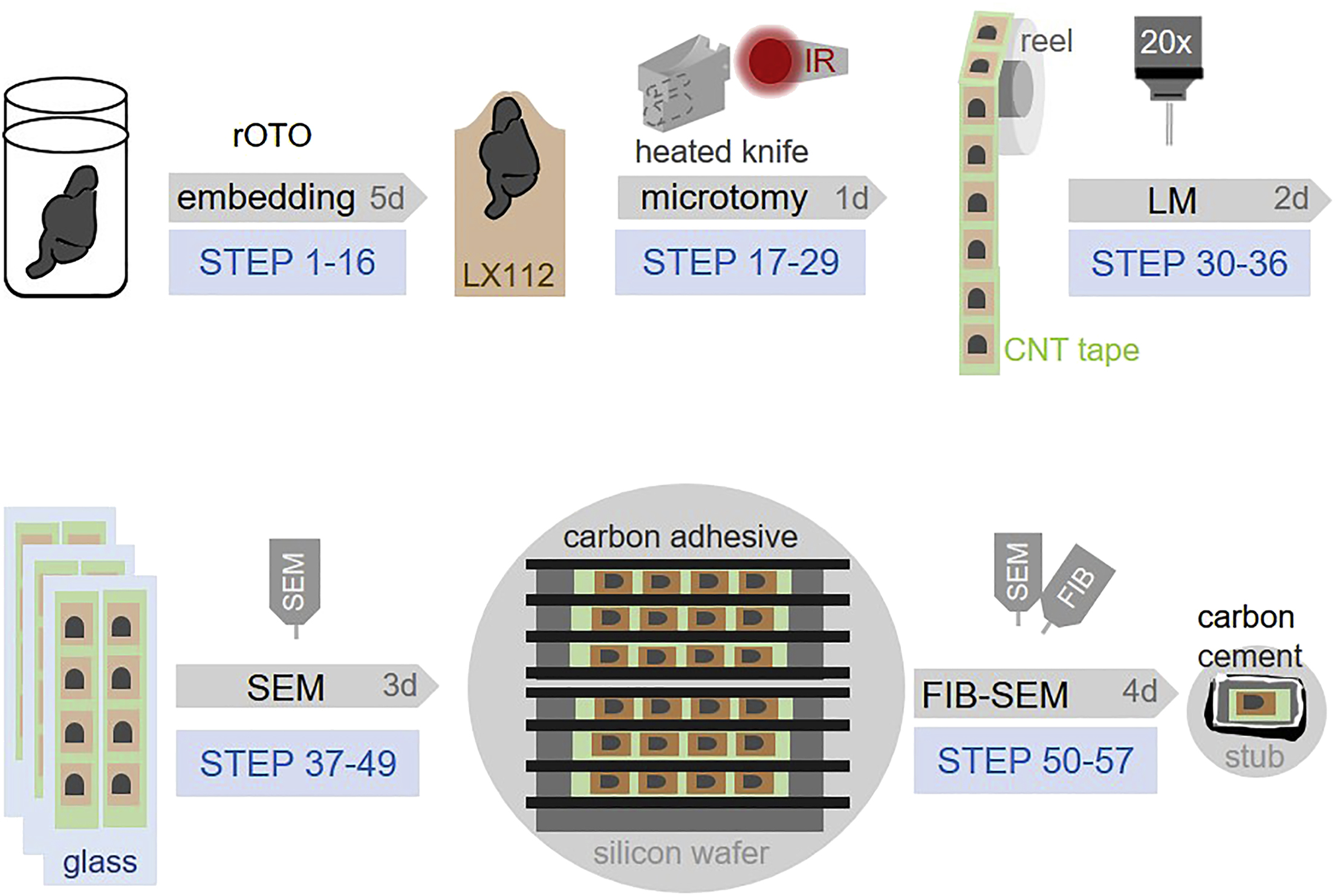 Cell Press: STAR Protocols