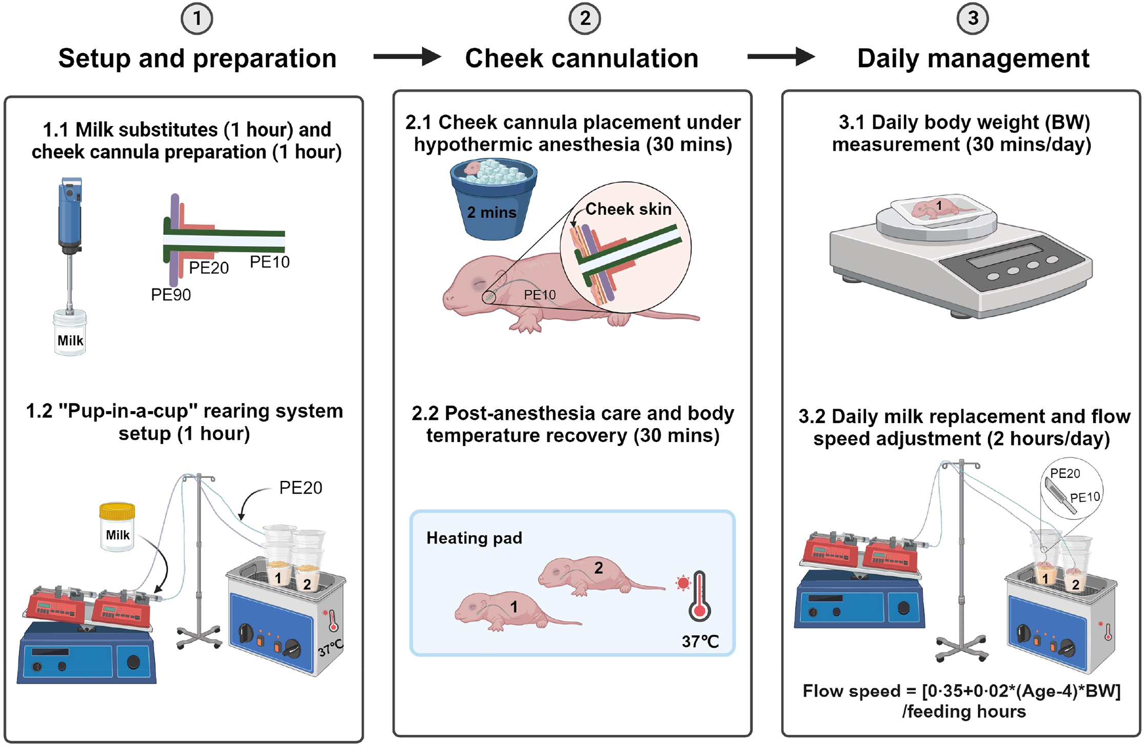 Cell Press: STAR Protocols
