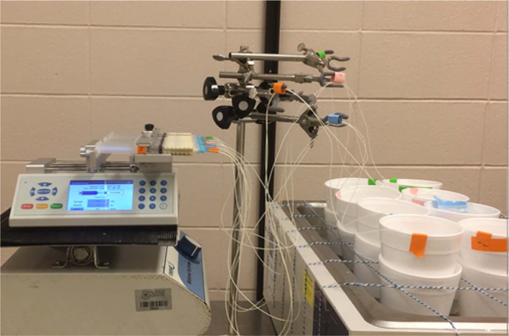 Cell Press: STAR Protocols