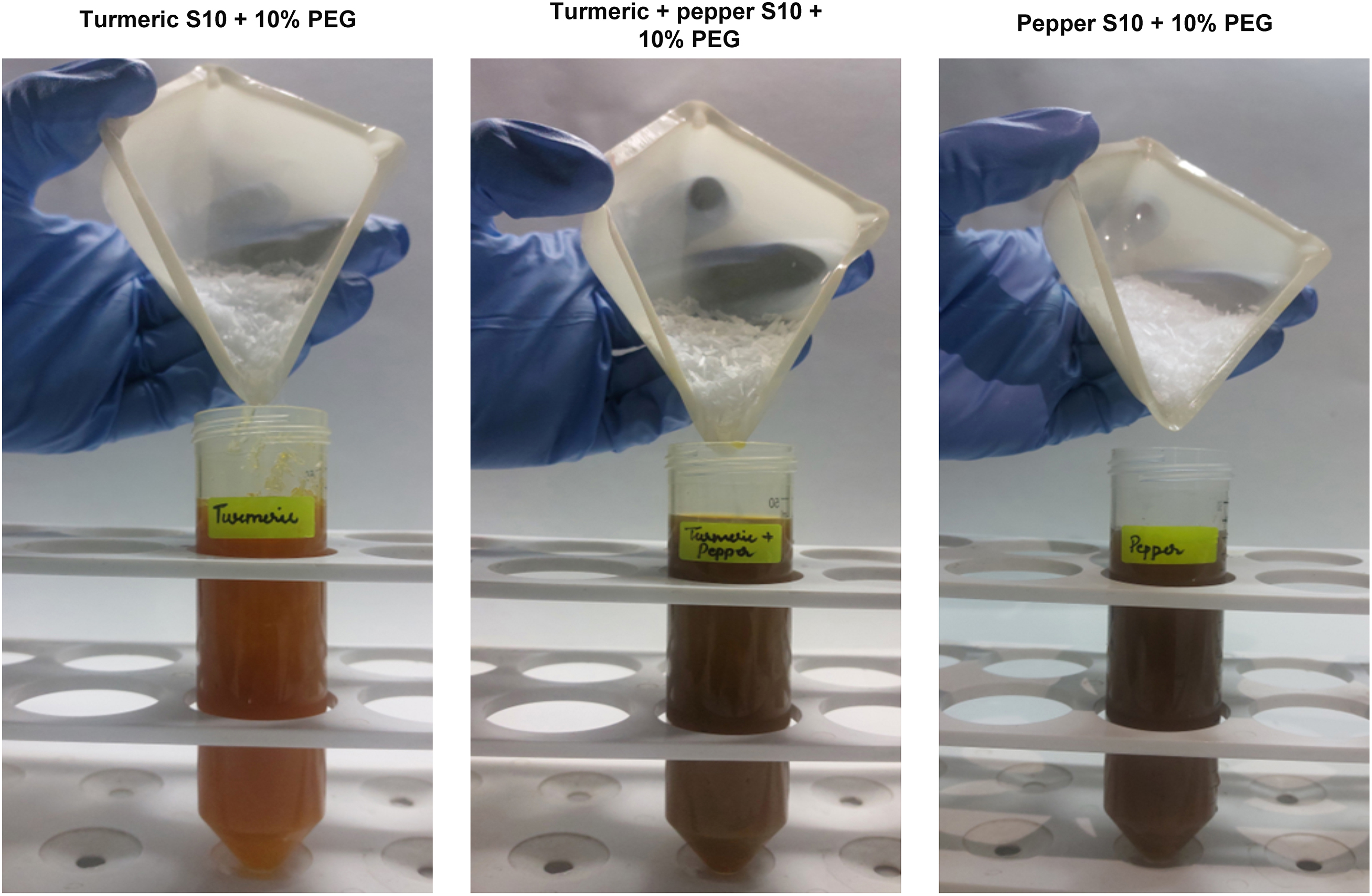 Cell Press: STAR Protocols