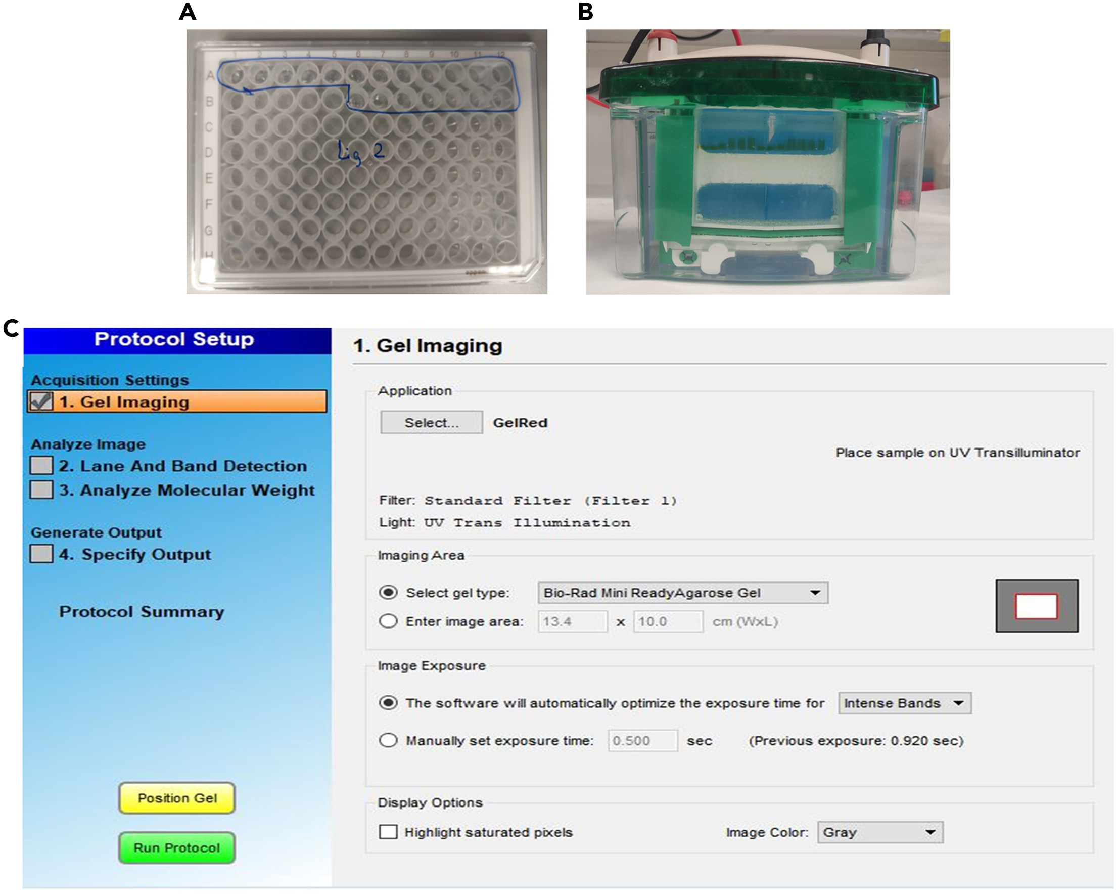 Cell Press: STAR Protocols