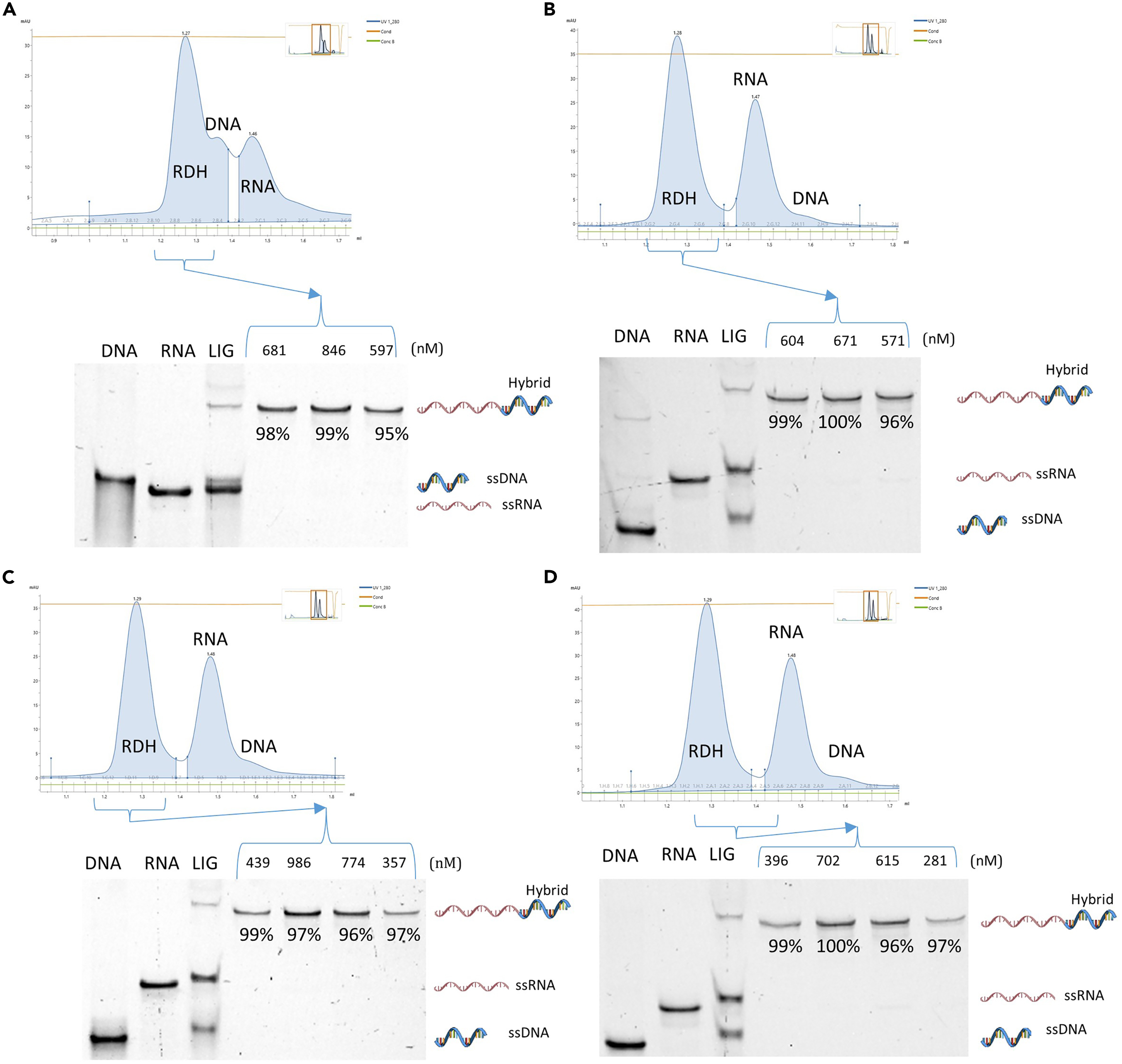 Cell Press: STAR Protocols