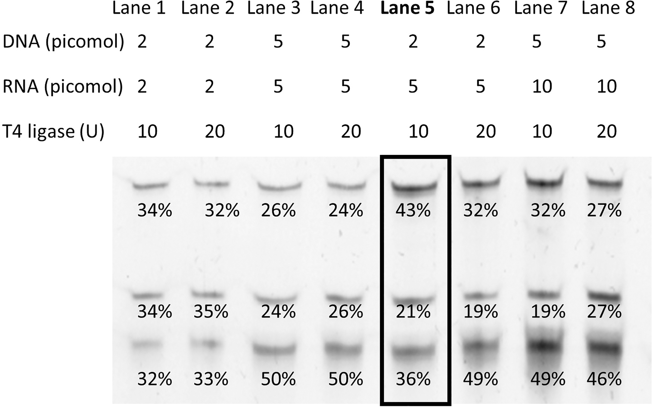 Cell Press: STAR Protocols