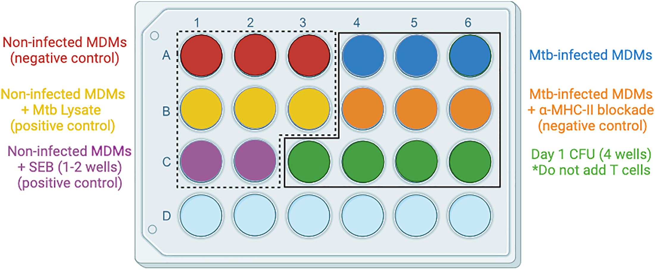 Cell Press: STAR Protocols