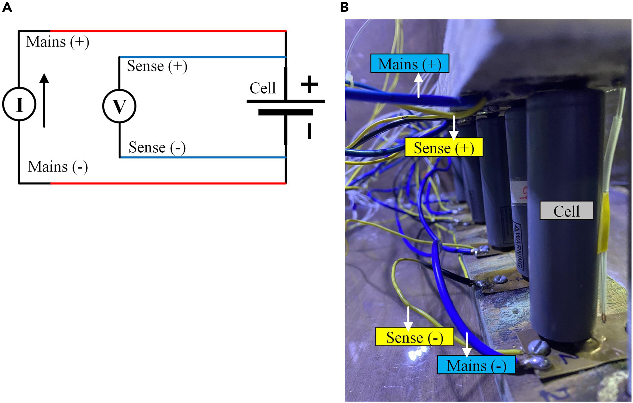 Cell Press: STAR Protocols