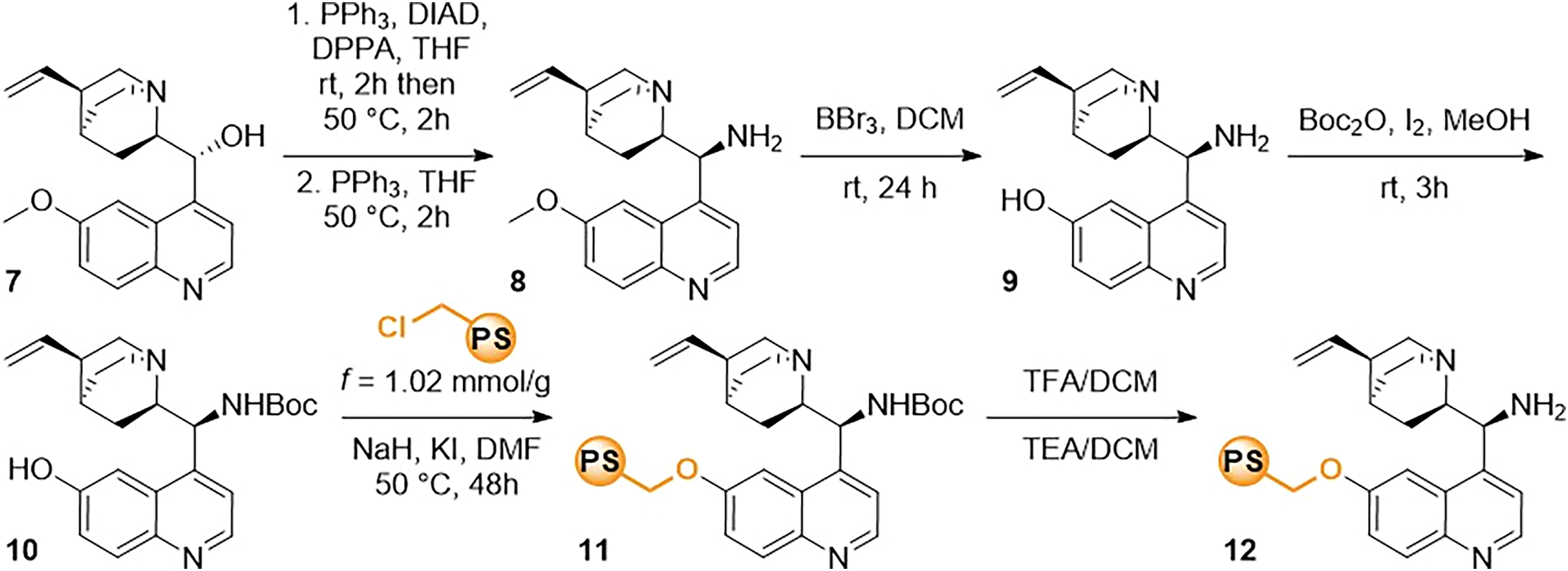 Cell Press: STAR Protocols