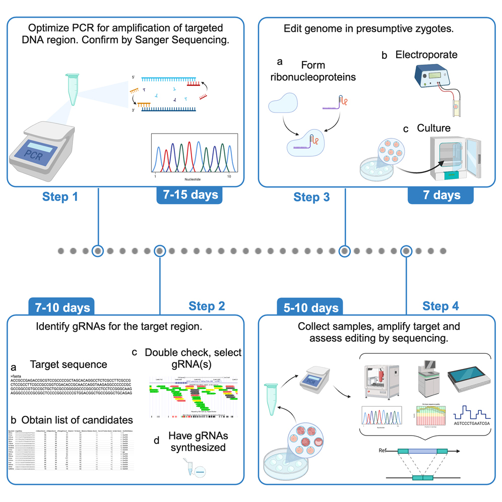 Cell Press: STAR Protocols