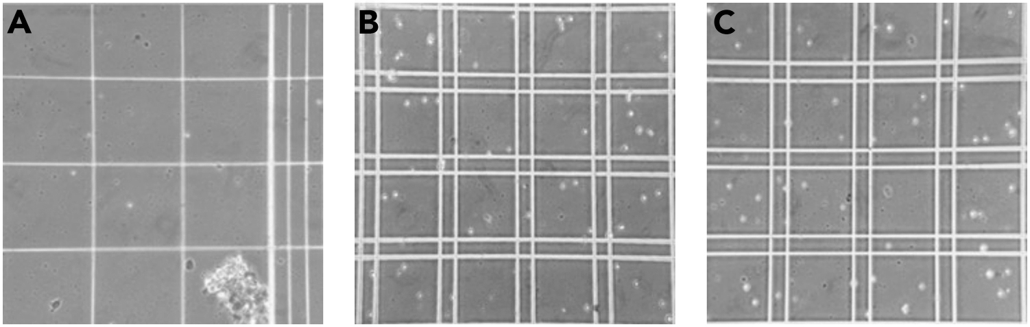 Cell Press: STAR Protocols