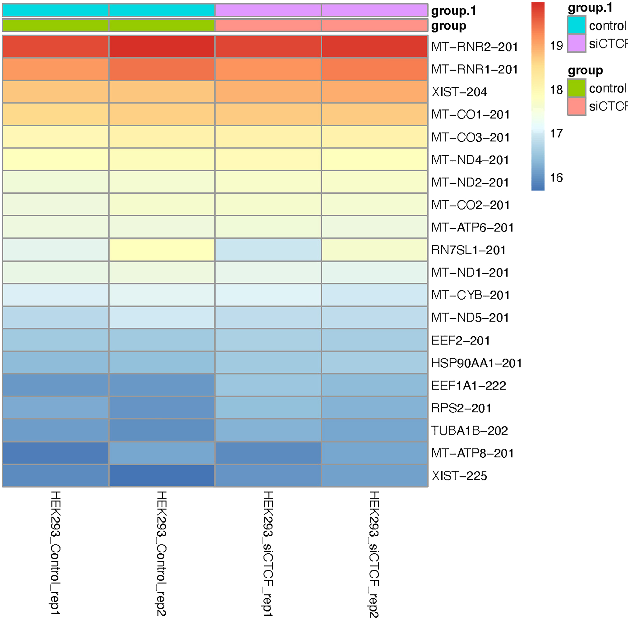 Cell Press: STAR Protocols