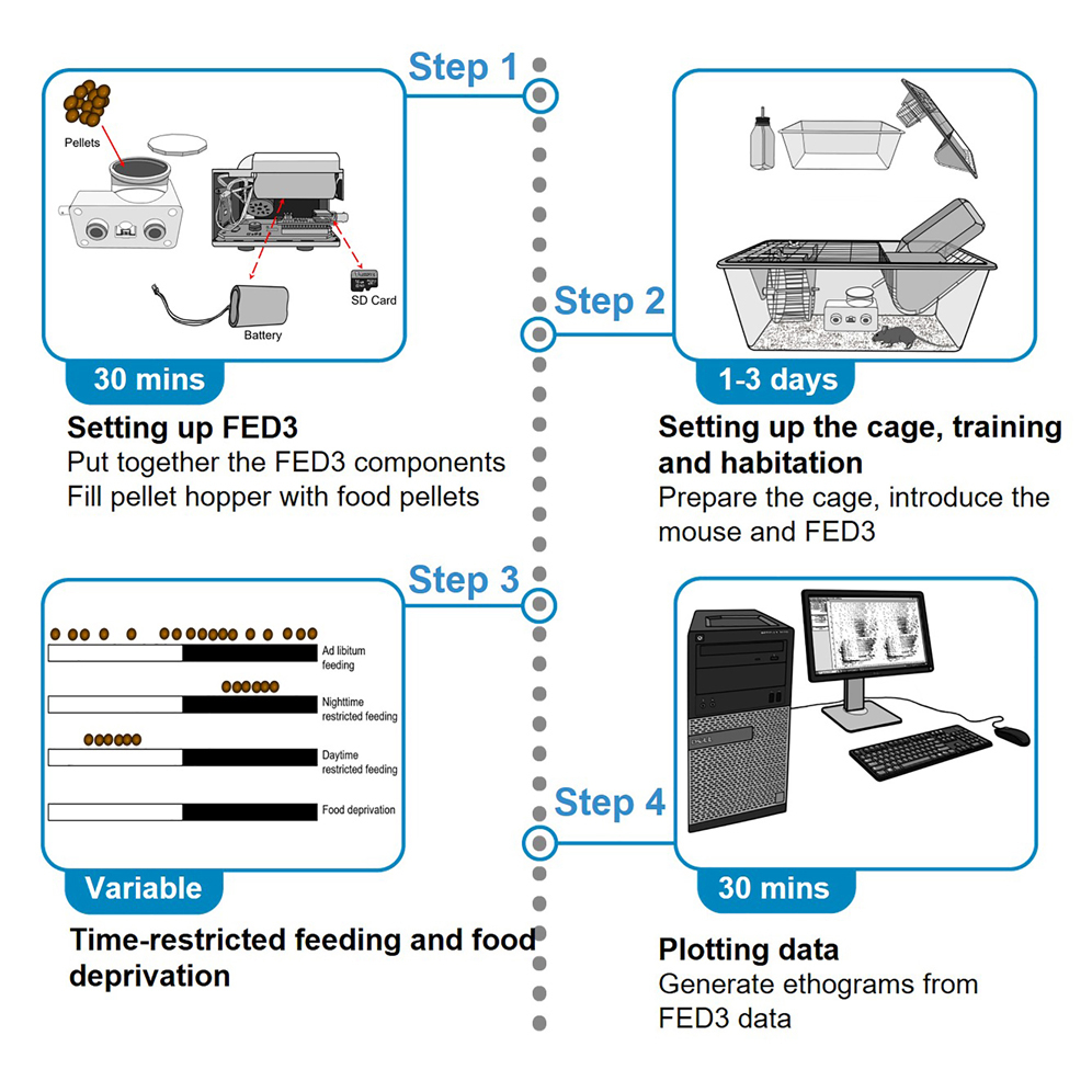 Cell Press: STAR Protocols