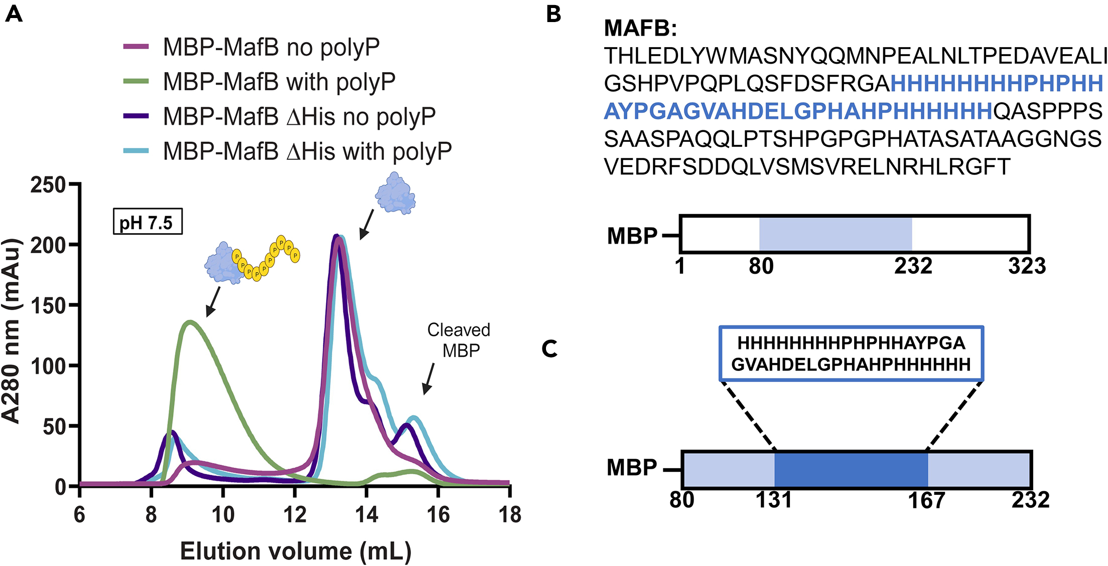 Cell Press: STAR Protocols