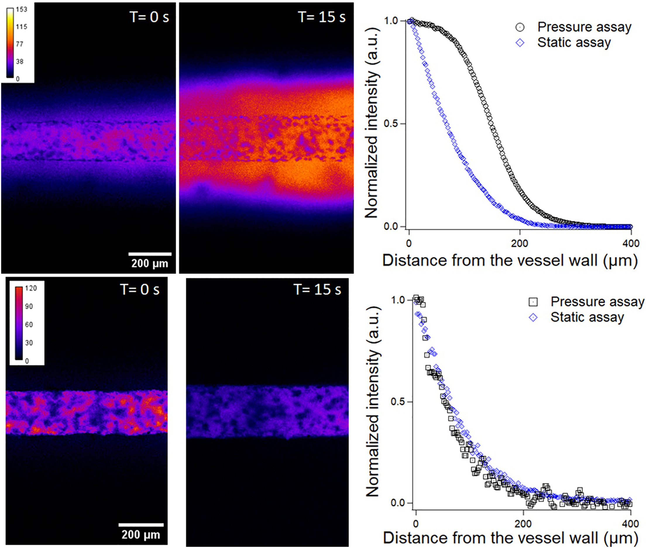Cell Press: STAR Protocols