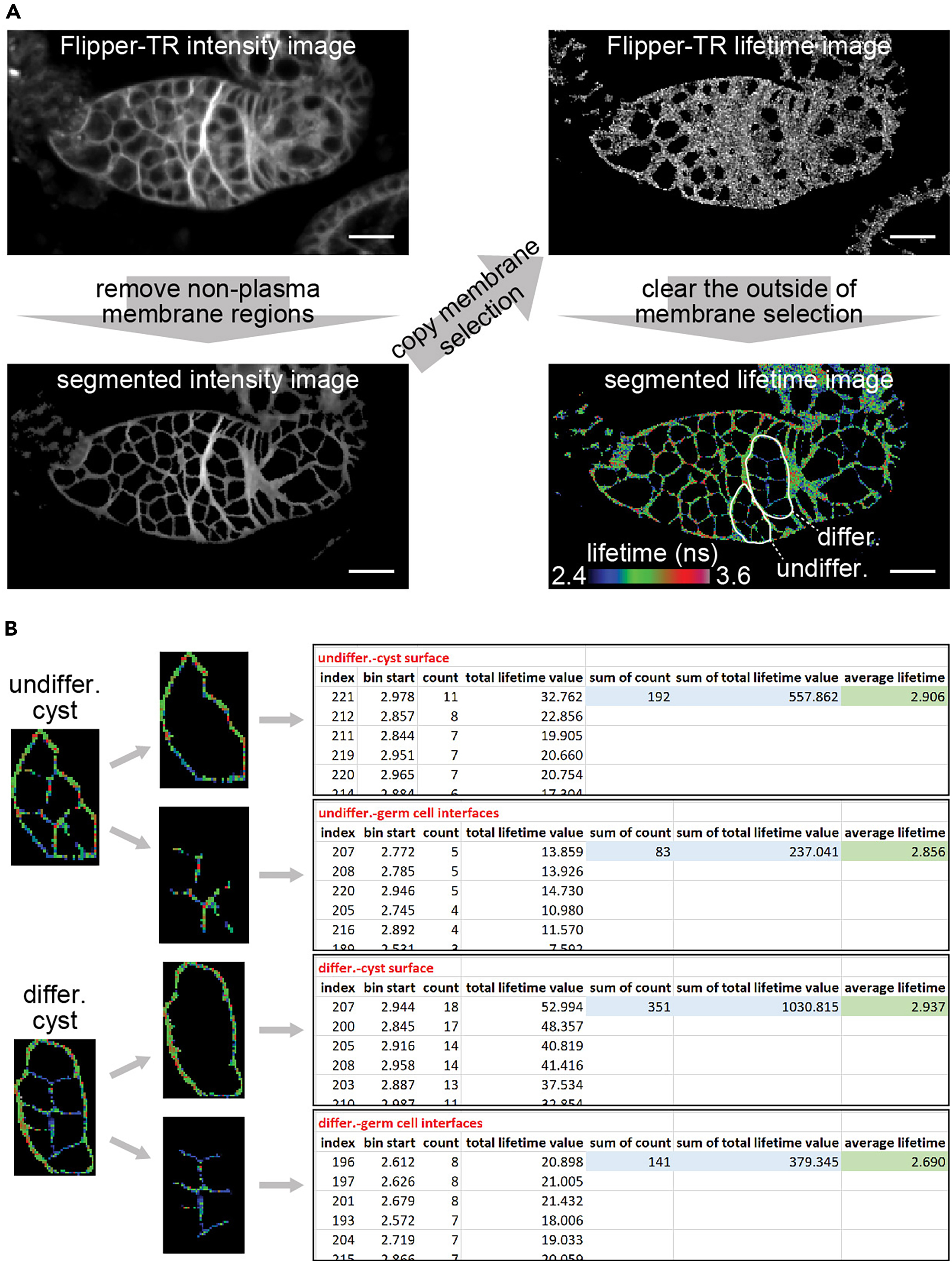Cell Press: STAR Protocols