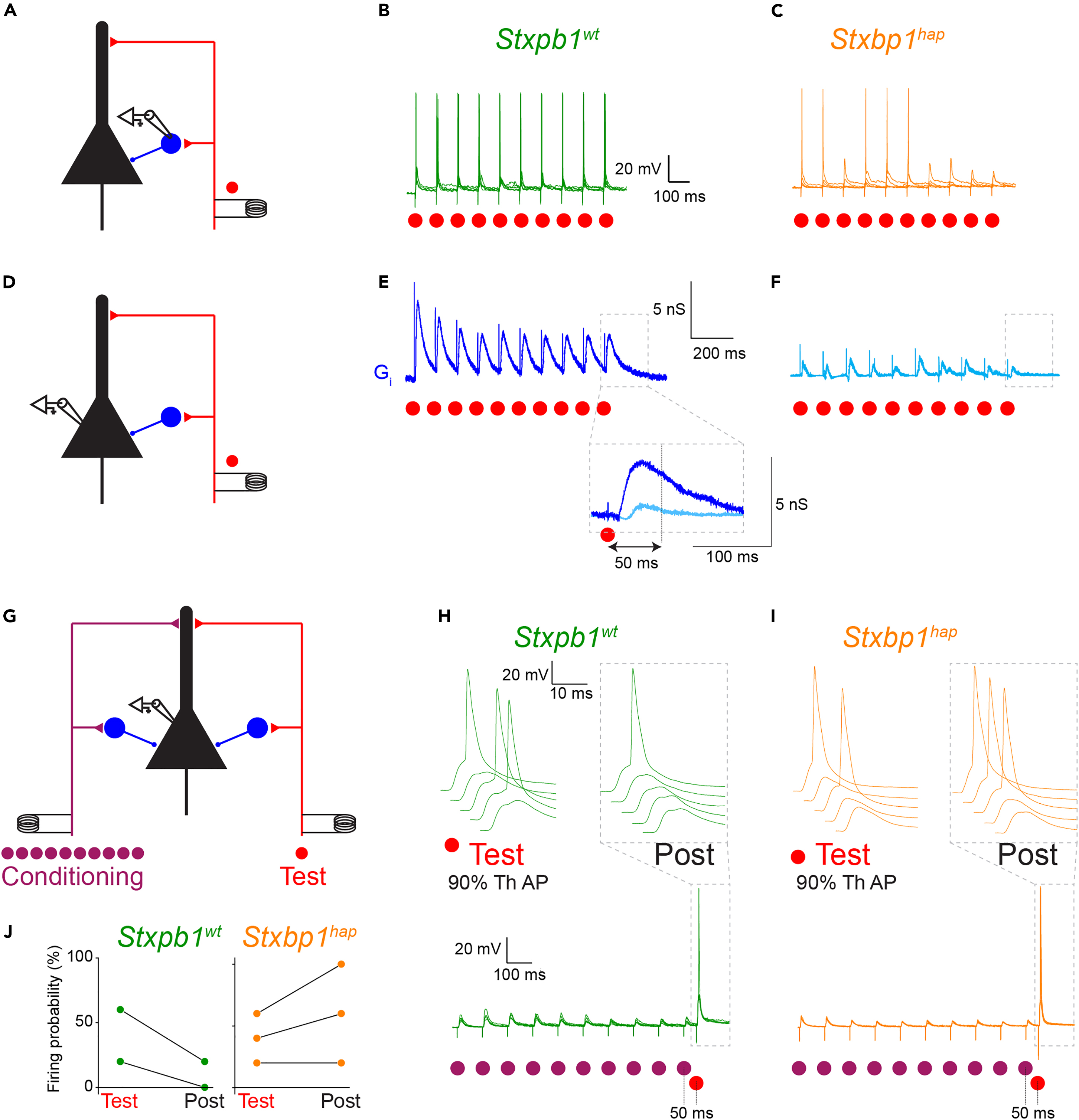 Cell Press: STAR Protocols