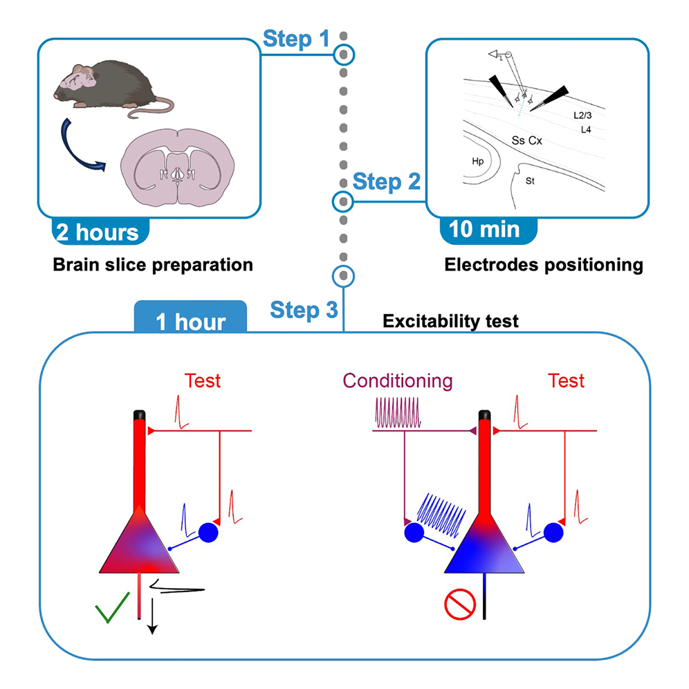 Cell Press: STAR Protocols