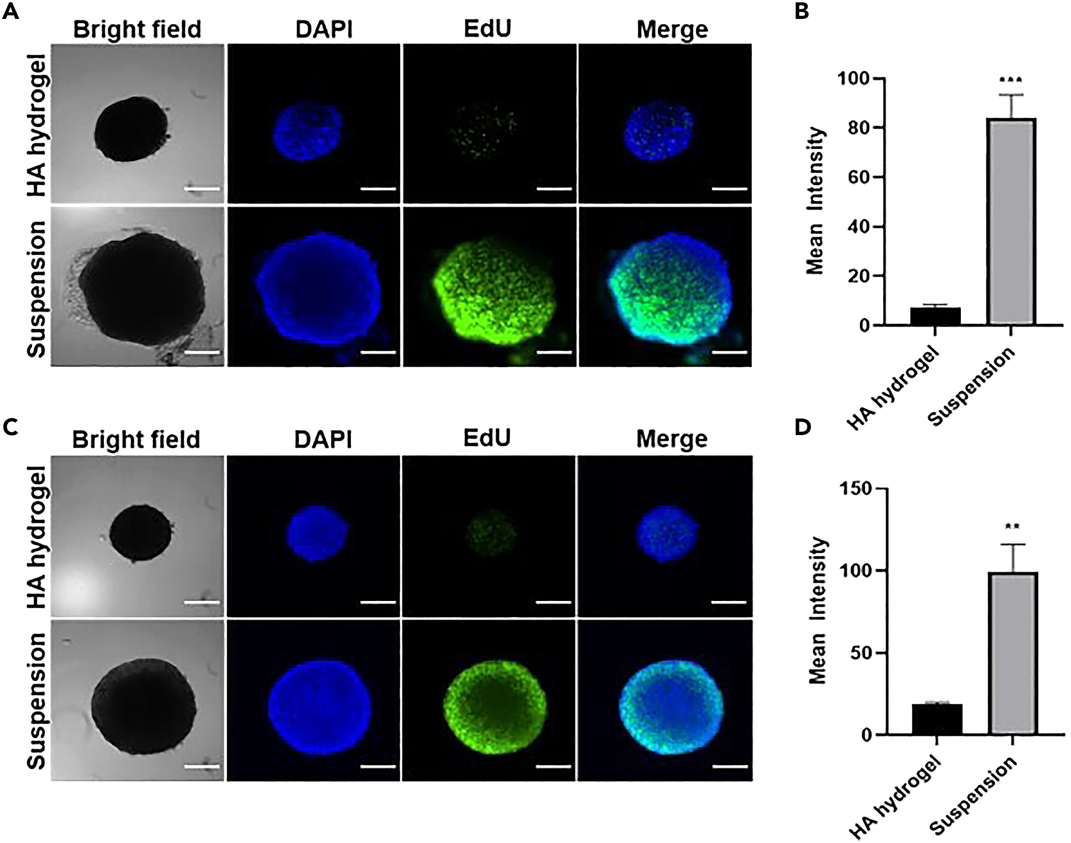 Cell Press: STAR Protocols