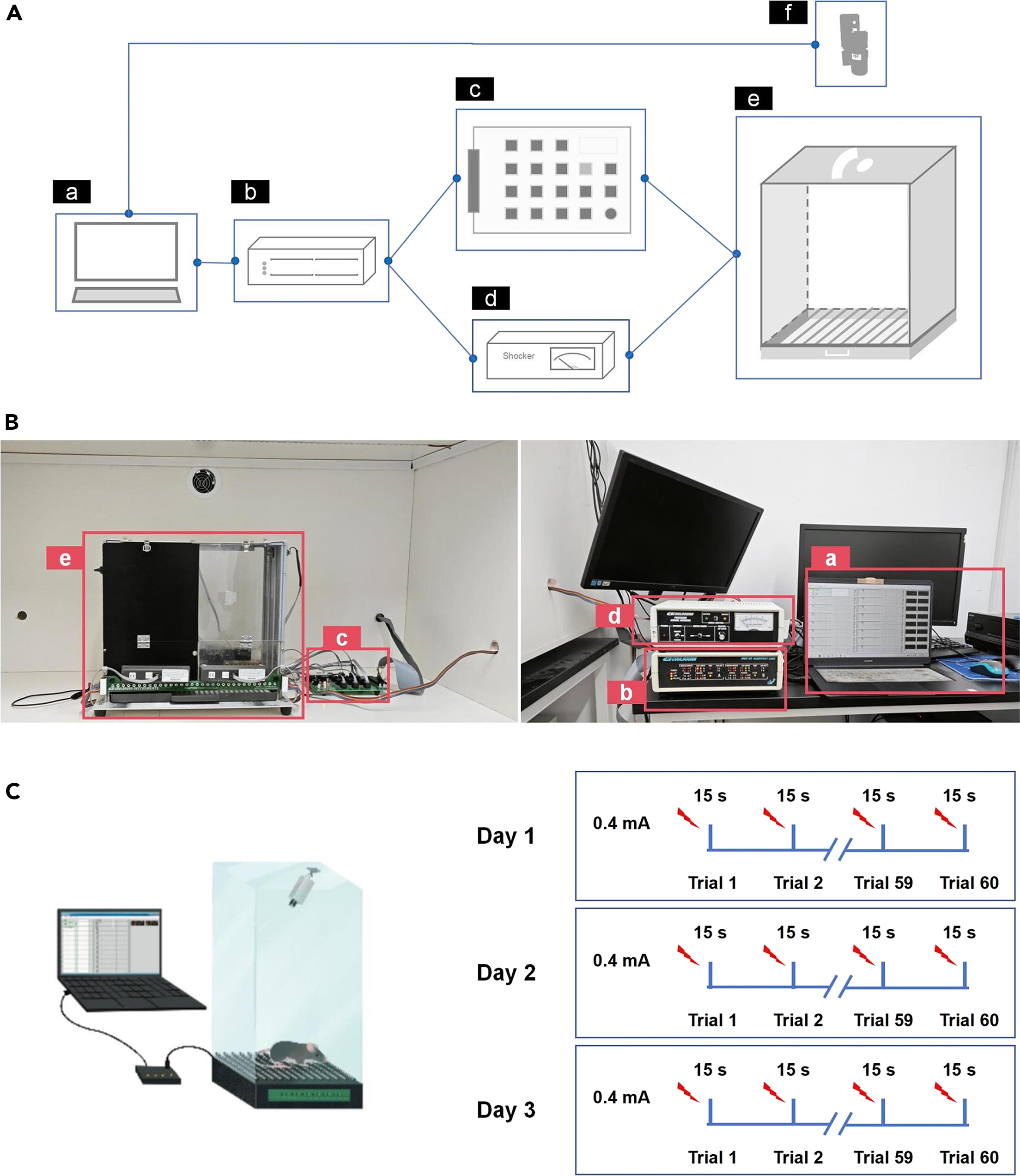 Cell Press: STAR Protocols