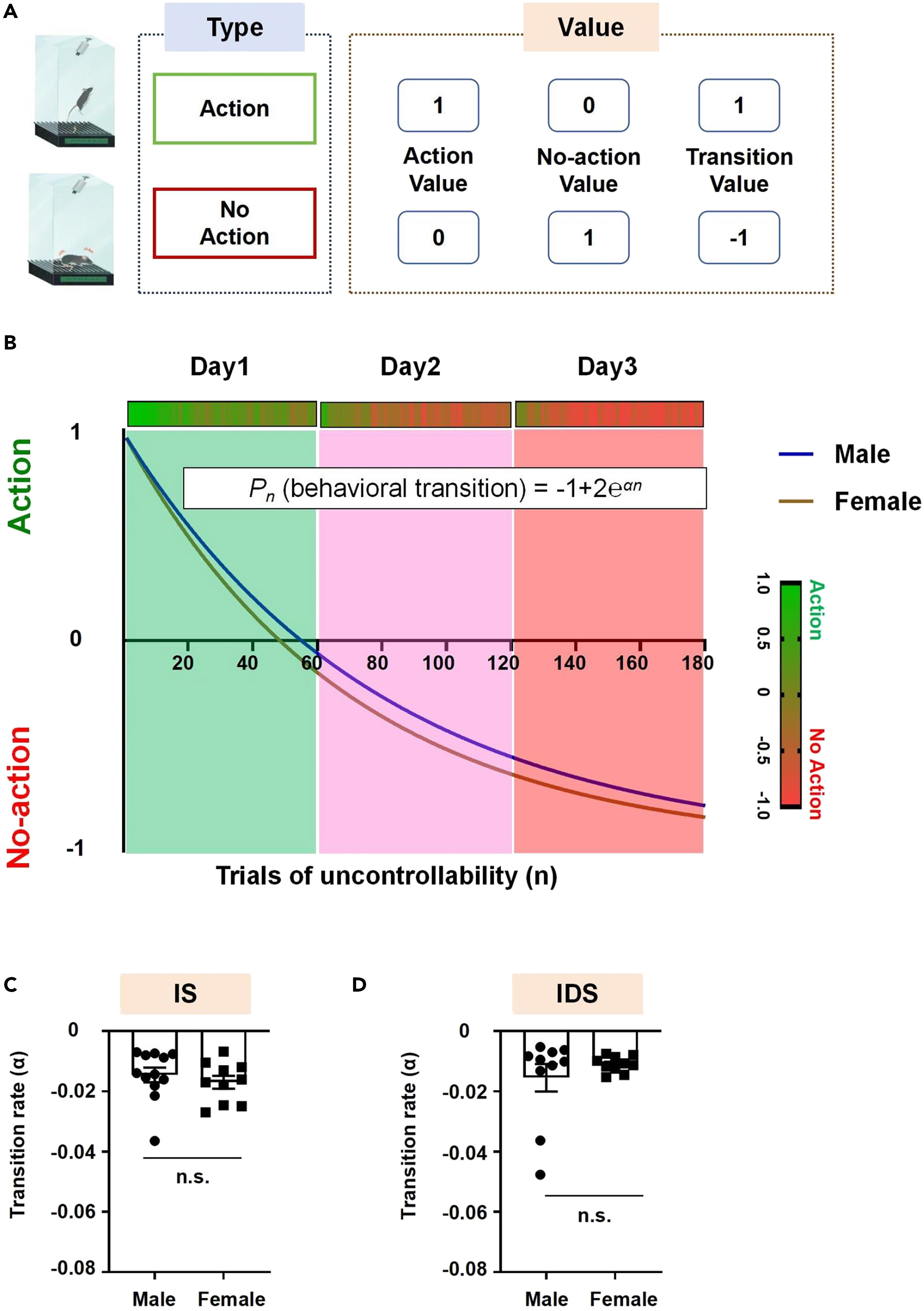 Cell Press: STAR Protocols