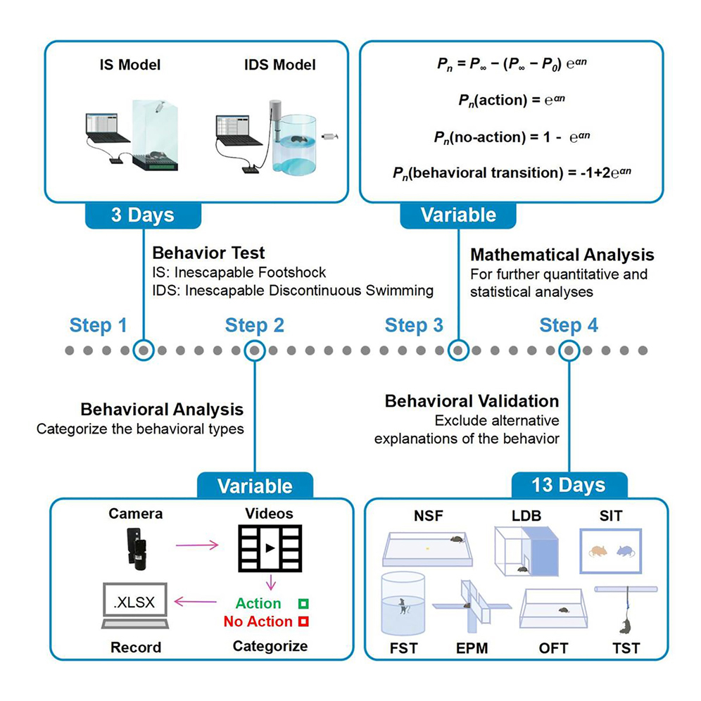 Cell Press: STAR Protocols