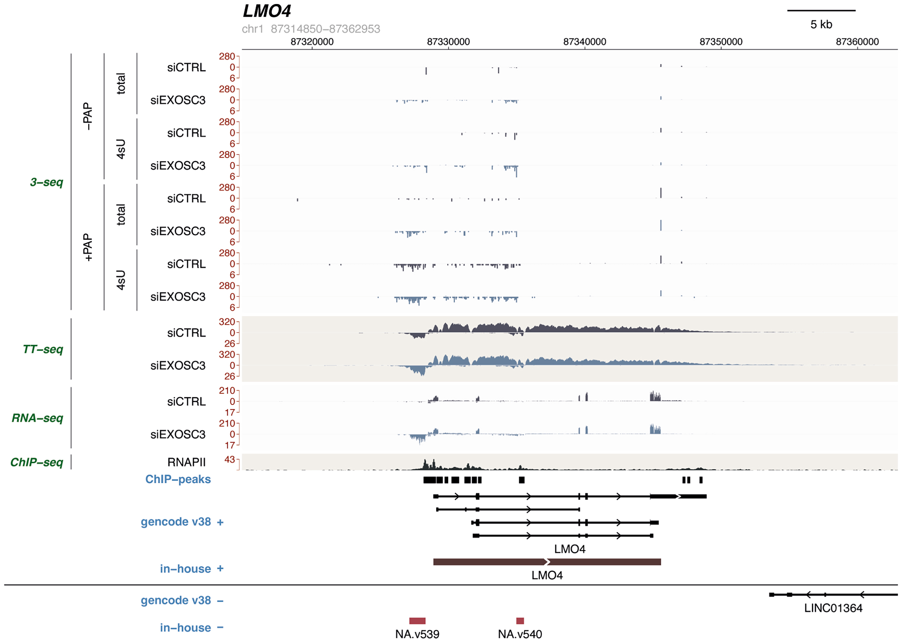Cell Press: STAR Protocols
